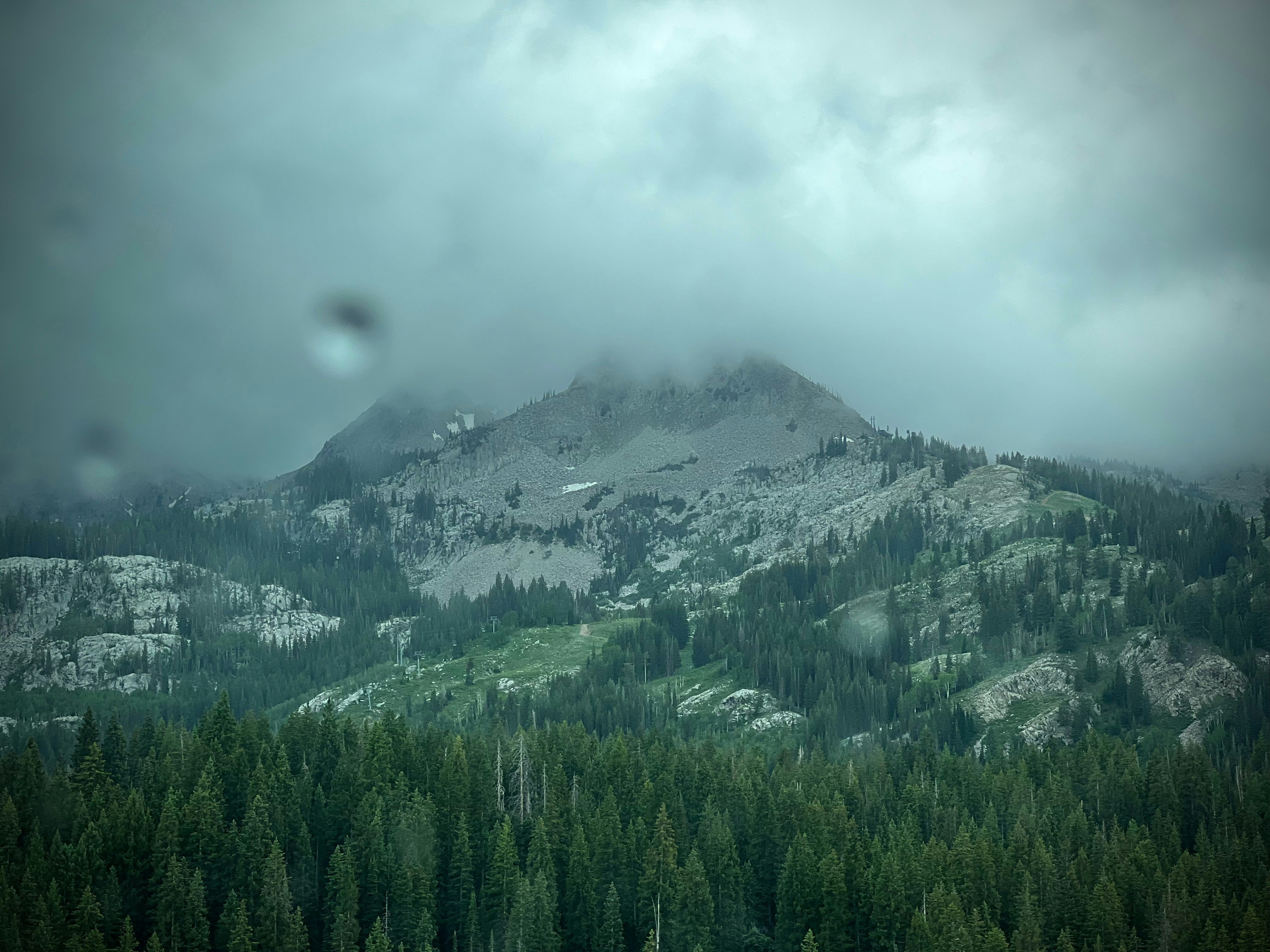 Mist-wrapped Peak Over a Conifer Sea
