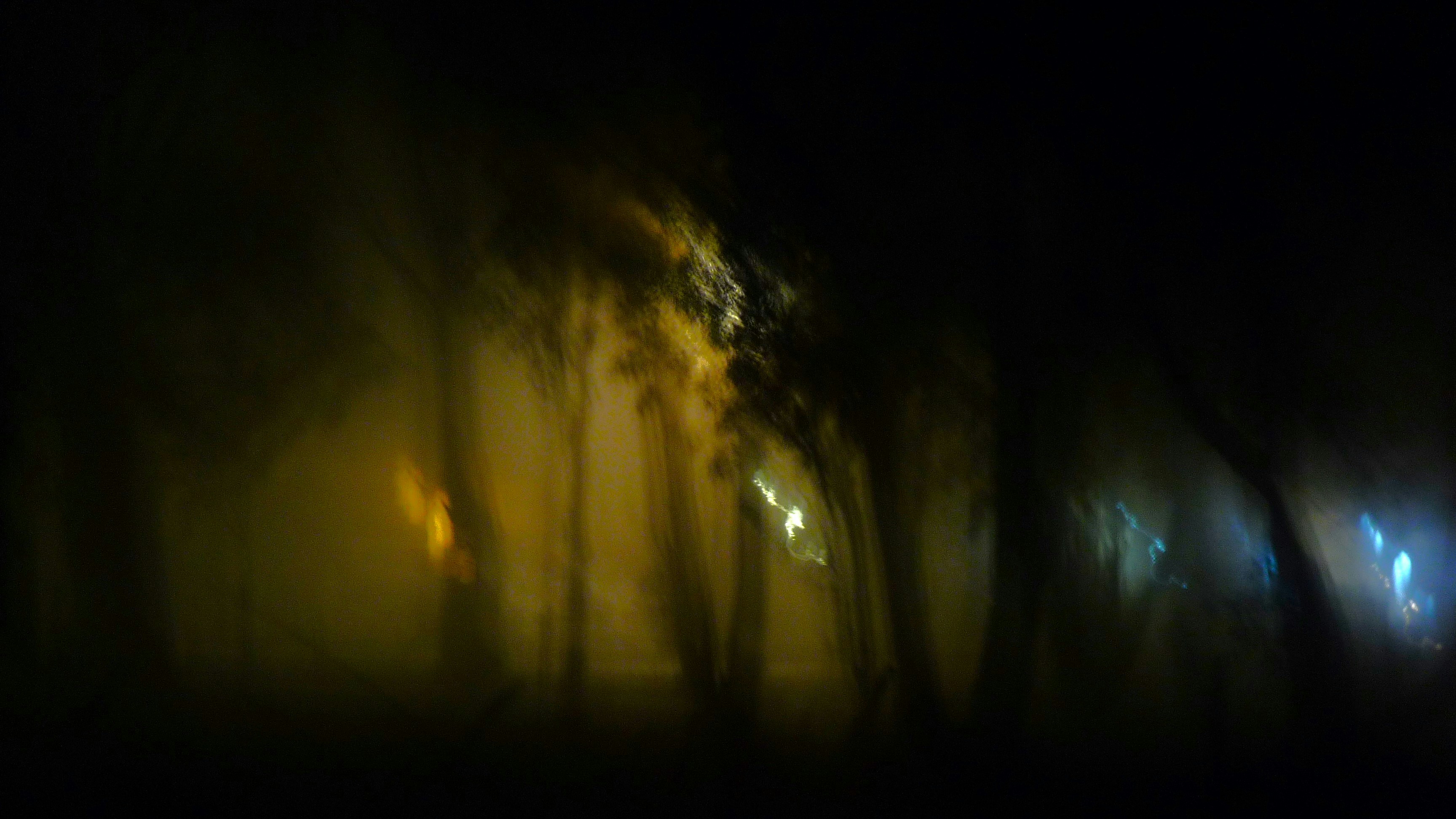 Night Forest in Fog: Ghostly Street-Lights Through Blurred Silhouettes