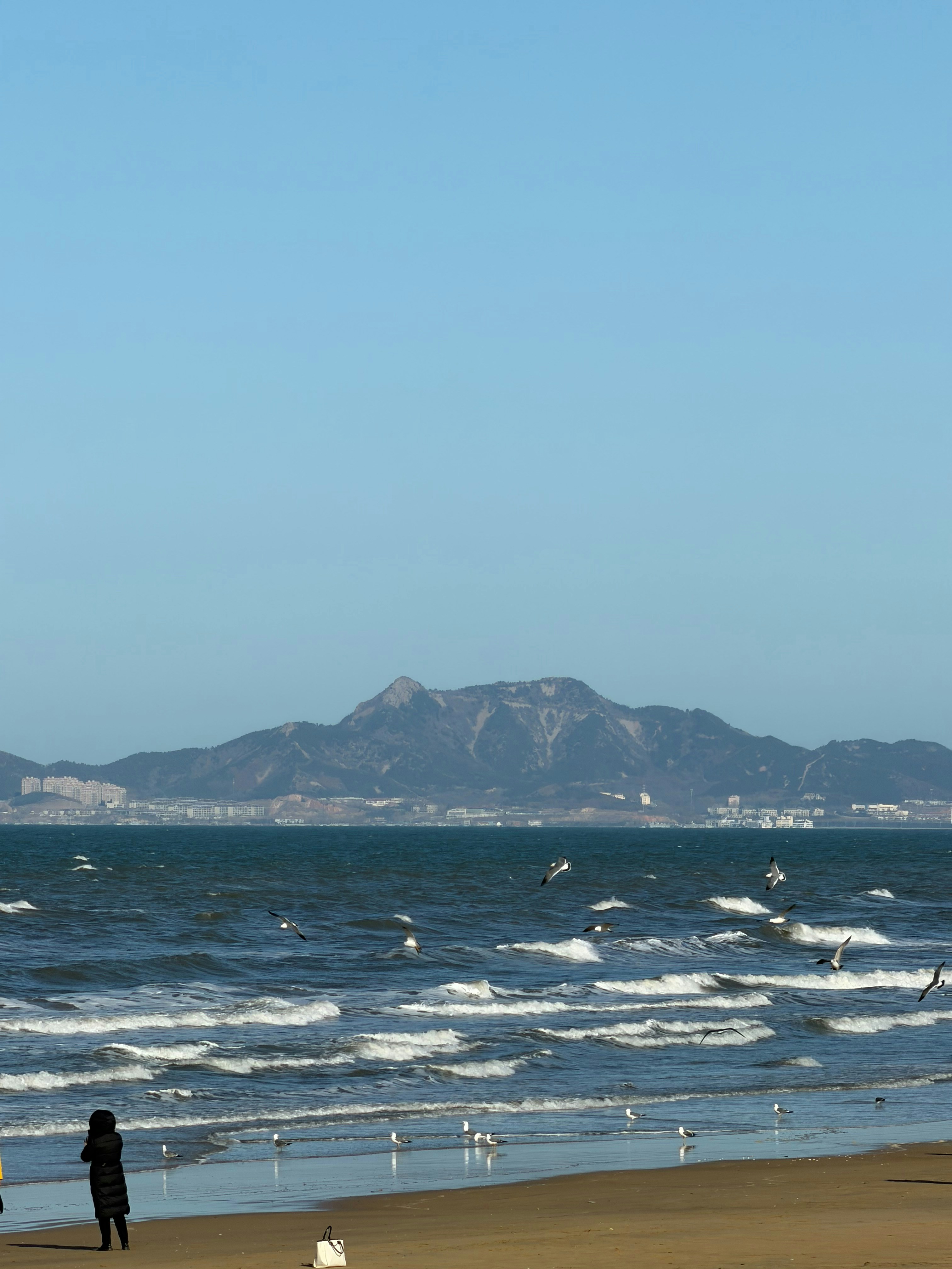 Coastal scene with a distant mountain range, a calm sea, and a lone figure on the sandy shore; seagulls skim the waves, capturing a quiet moment by the water.