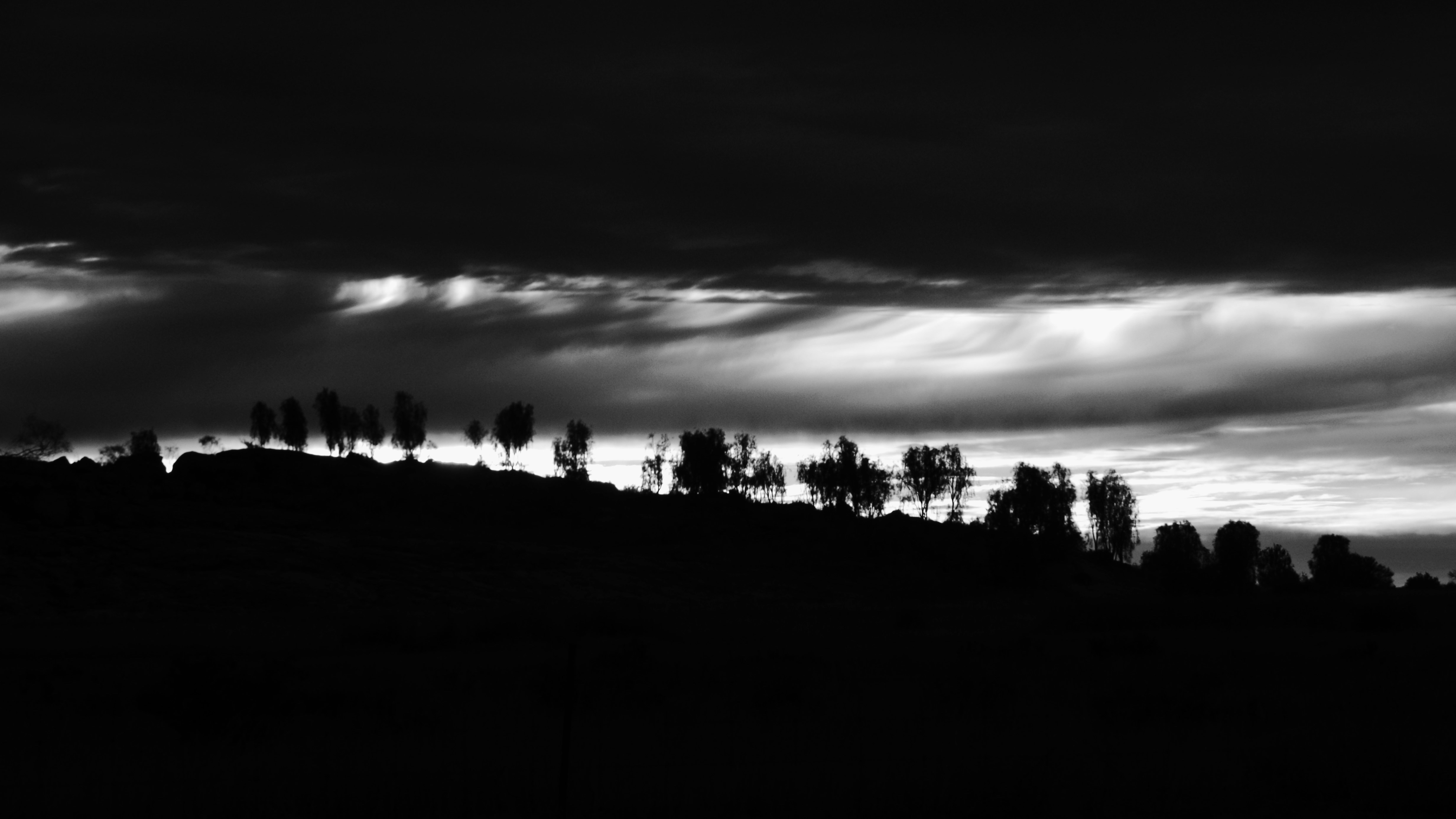 Dynamic black-and-white landscape with a silhouetted tree line against a dramatic sky; a moody, minimal scene emphasizing contrast and form.