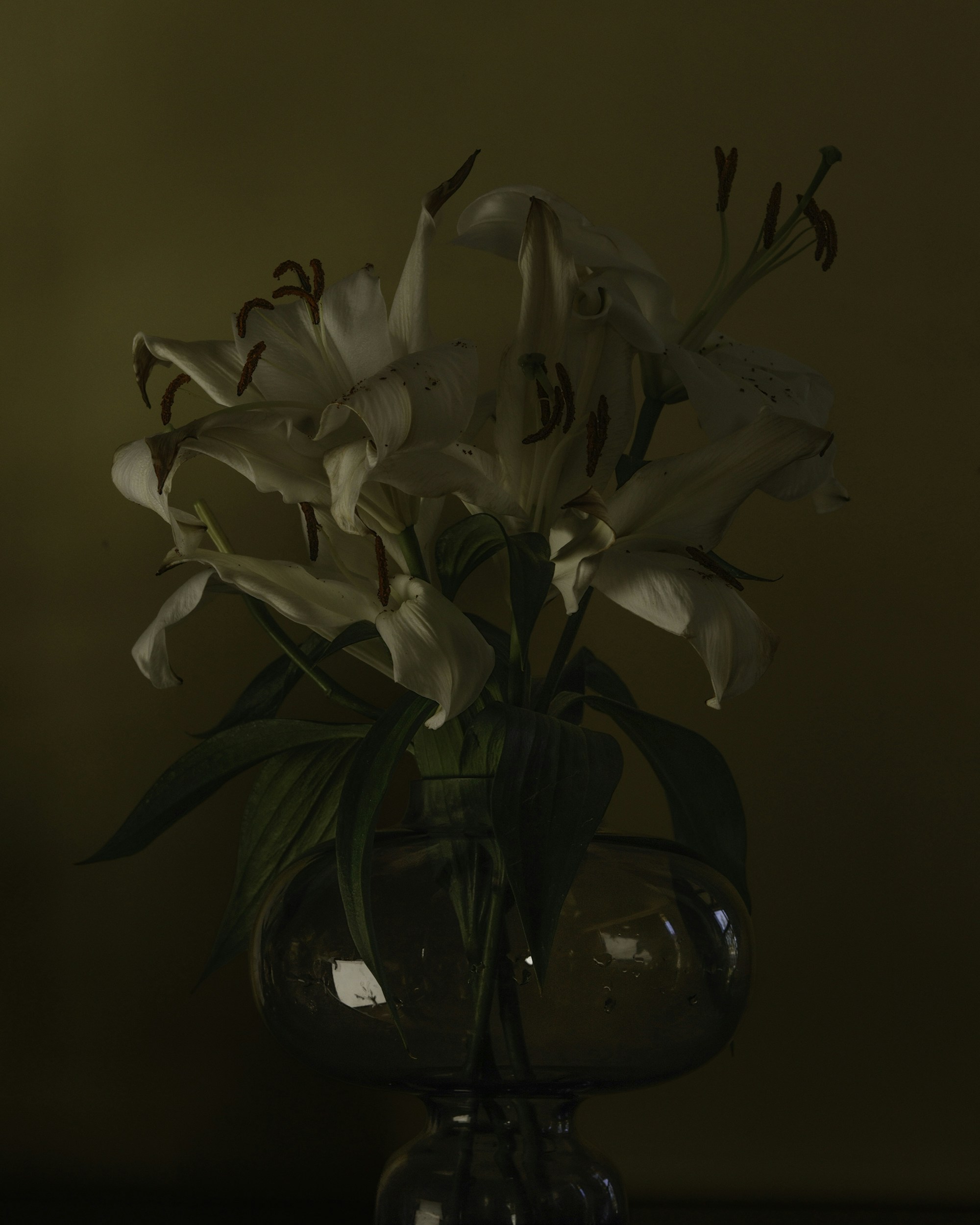 Lillies in a Glass Vessel Against a Golden Backdrop