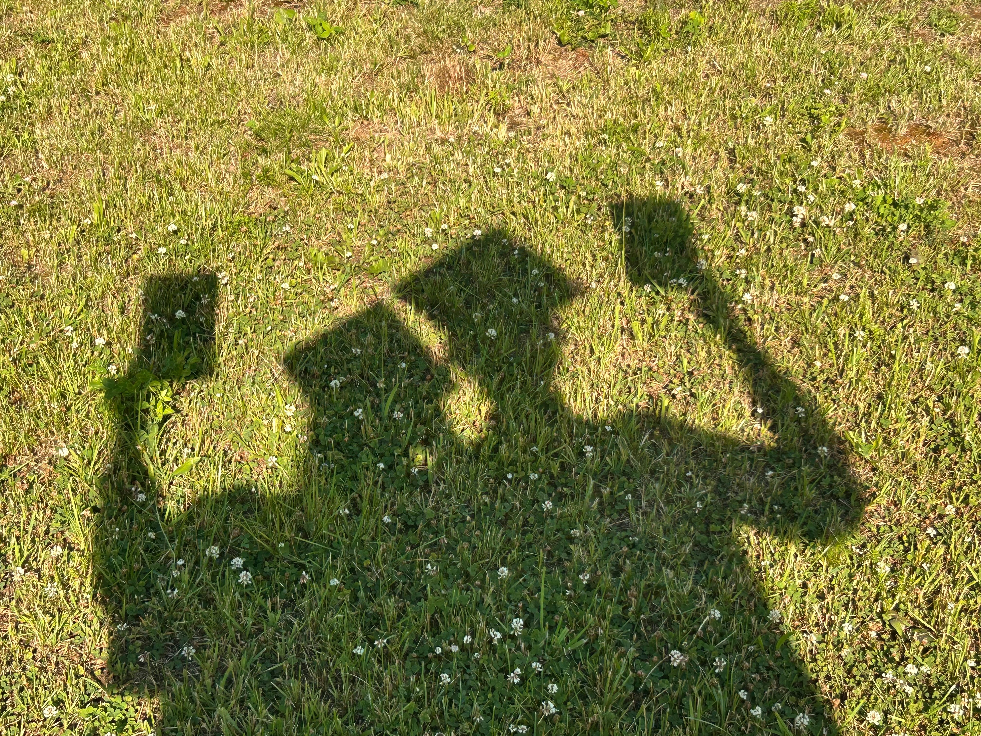Shadows of Devices Cast on a Sunny Lawn