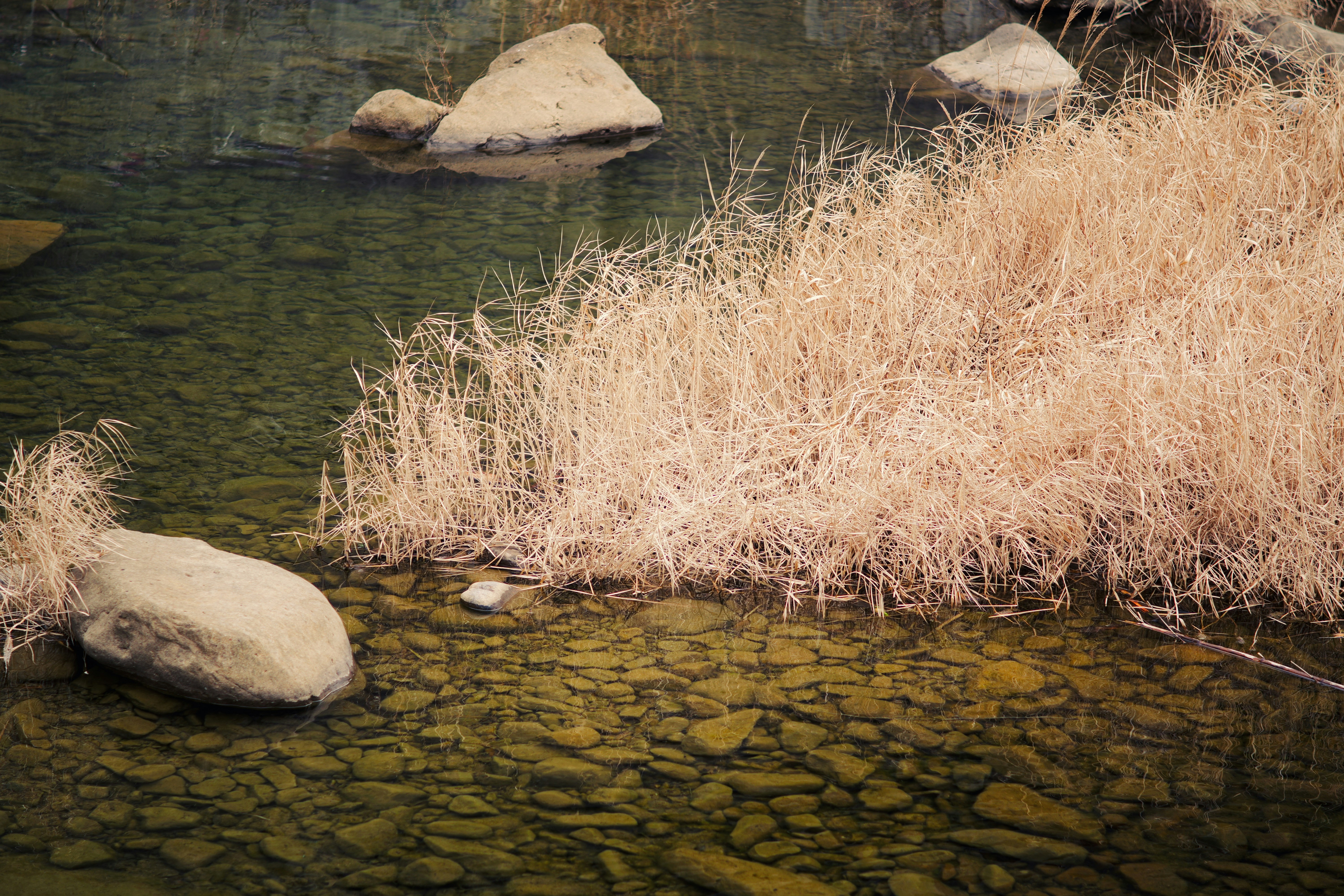Foam-Lined Banks and Quiet Stones at the River Edge