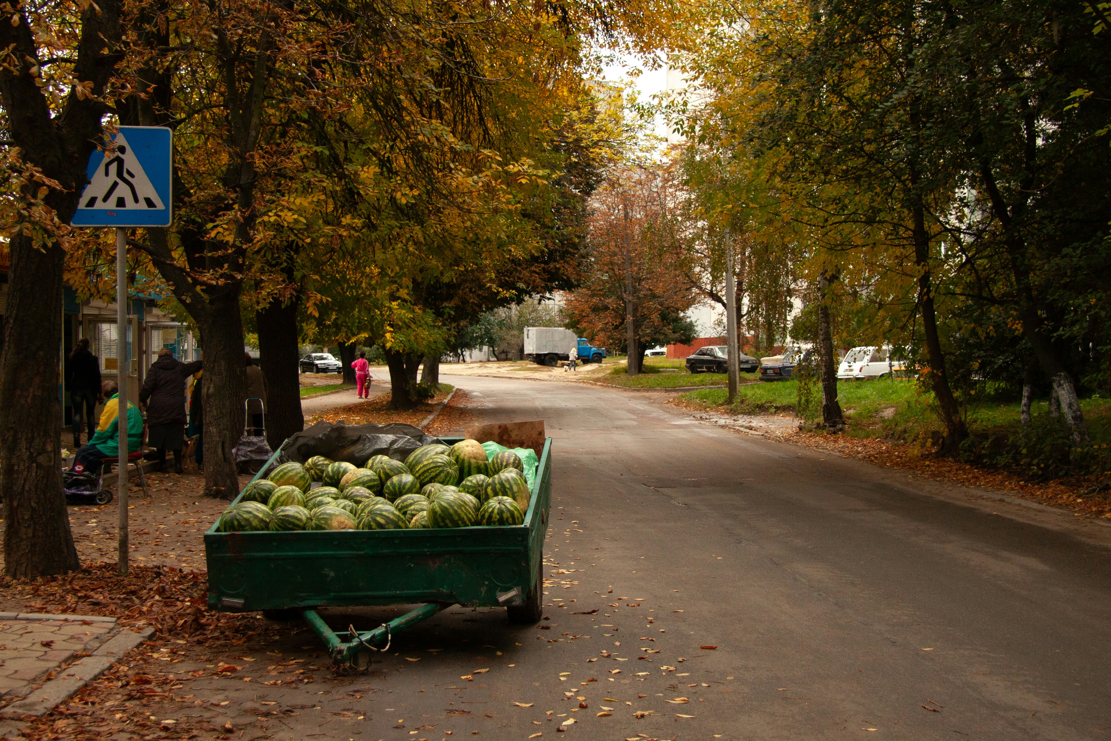 Autumn Street Stall: Watermelons Queued Along a Quiet Road