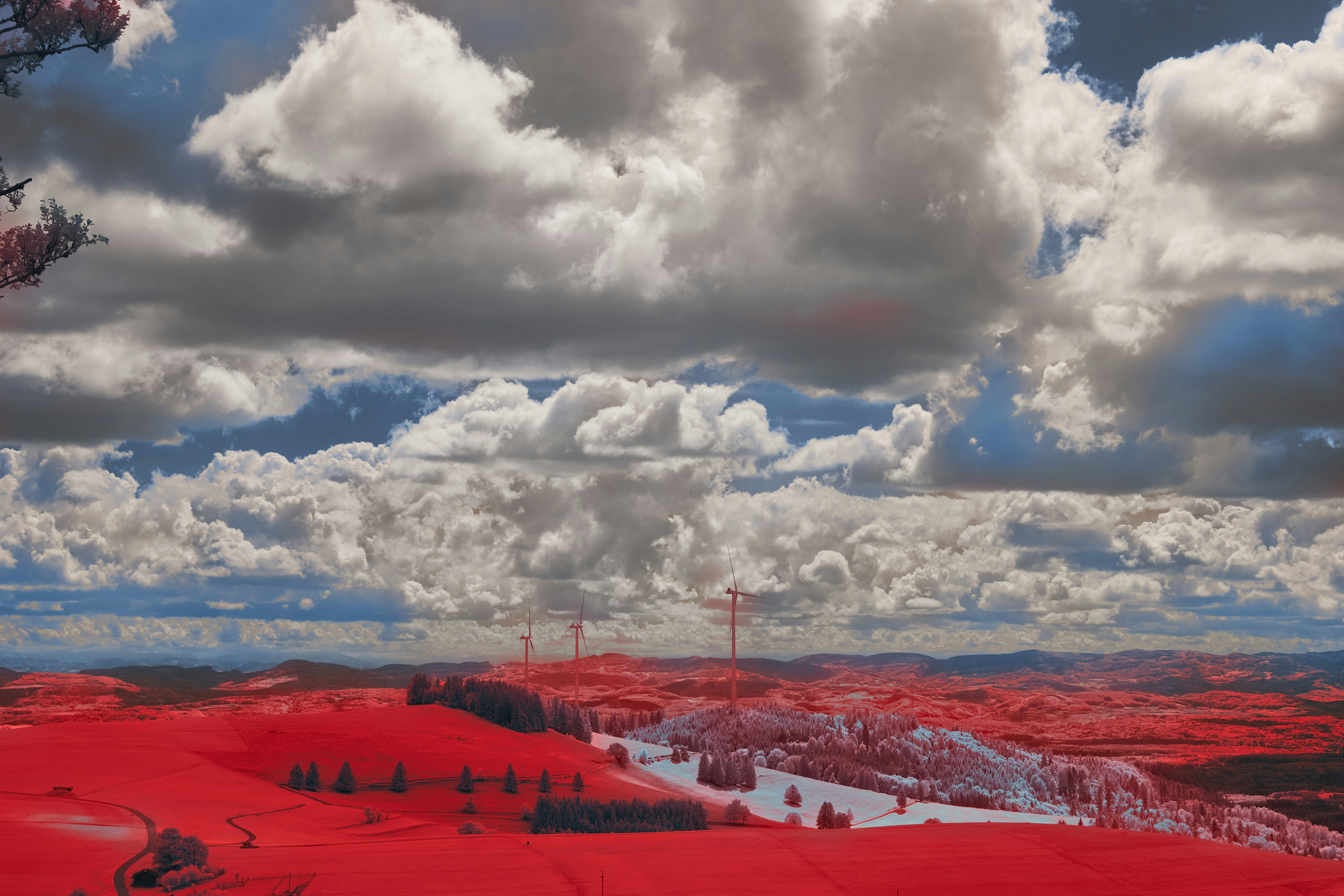 Bold landscape with a red-taded foreground and rolling hills under a dramatic cloudscape; landscape shot with a distant horizon and sparse trees.