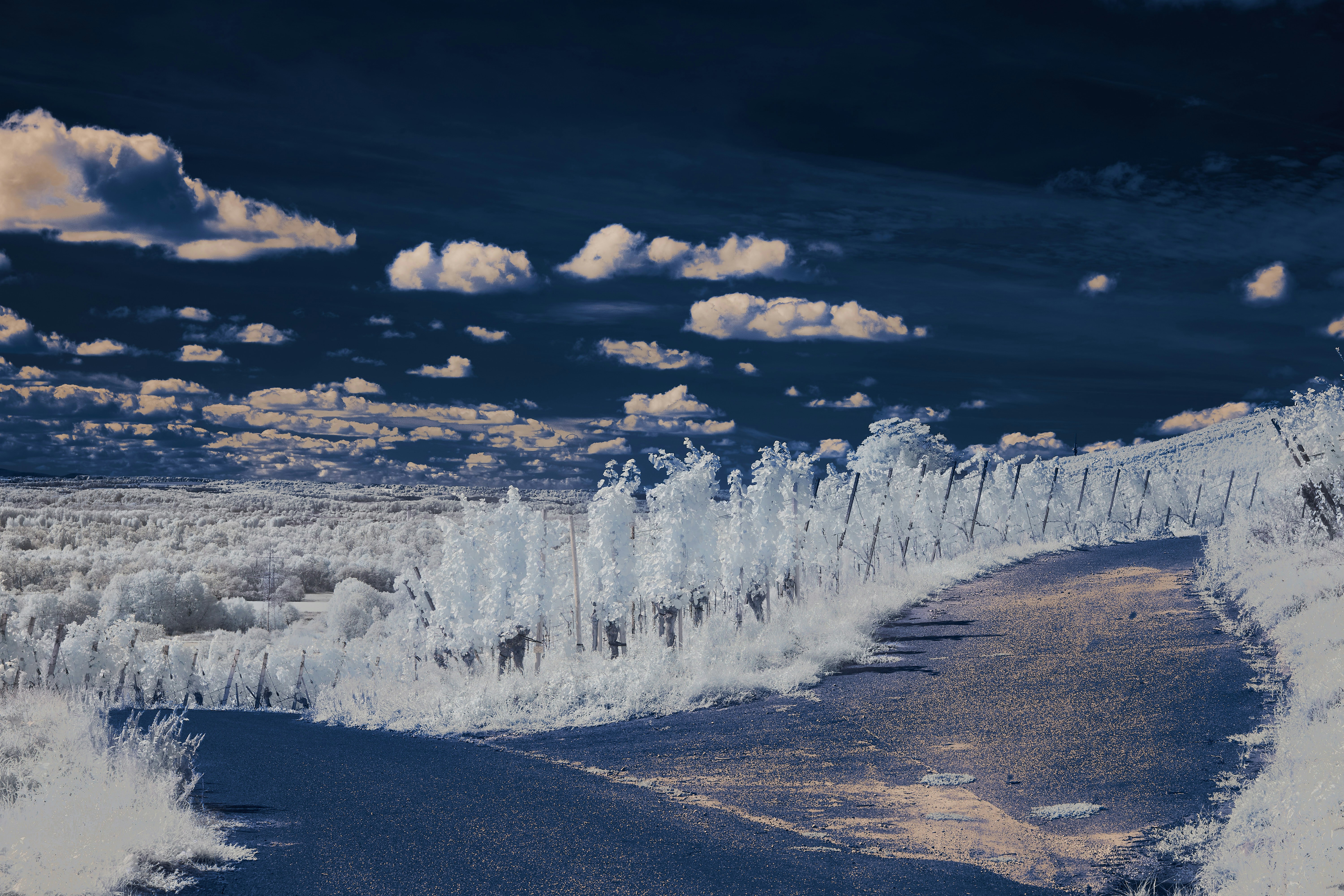 Icy Vista: A Phantom Path Under An Inverted Sky