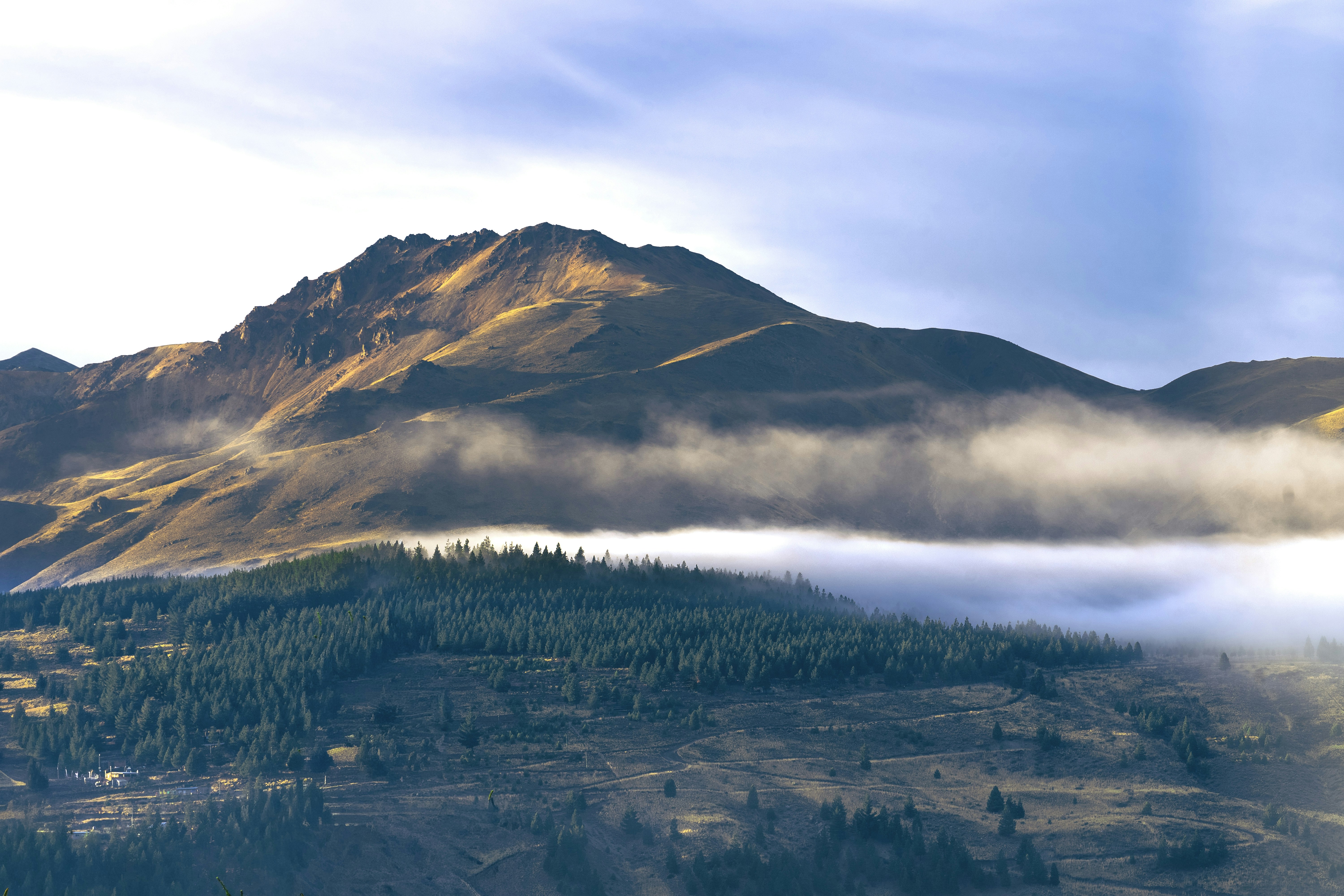 Mist-Laced Summit: Morning Light on the Ridge