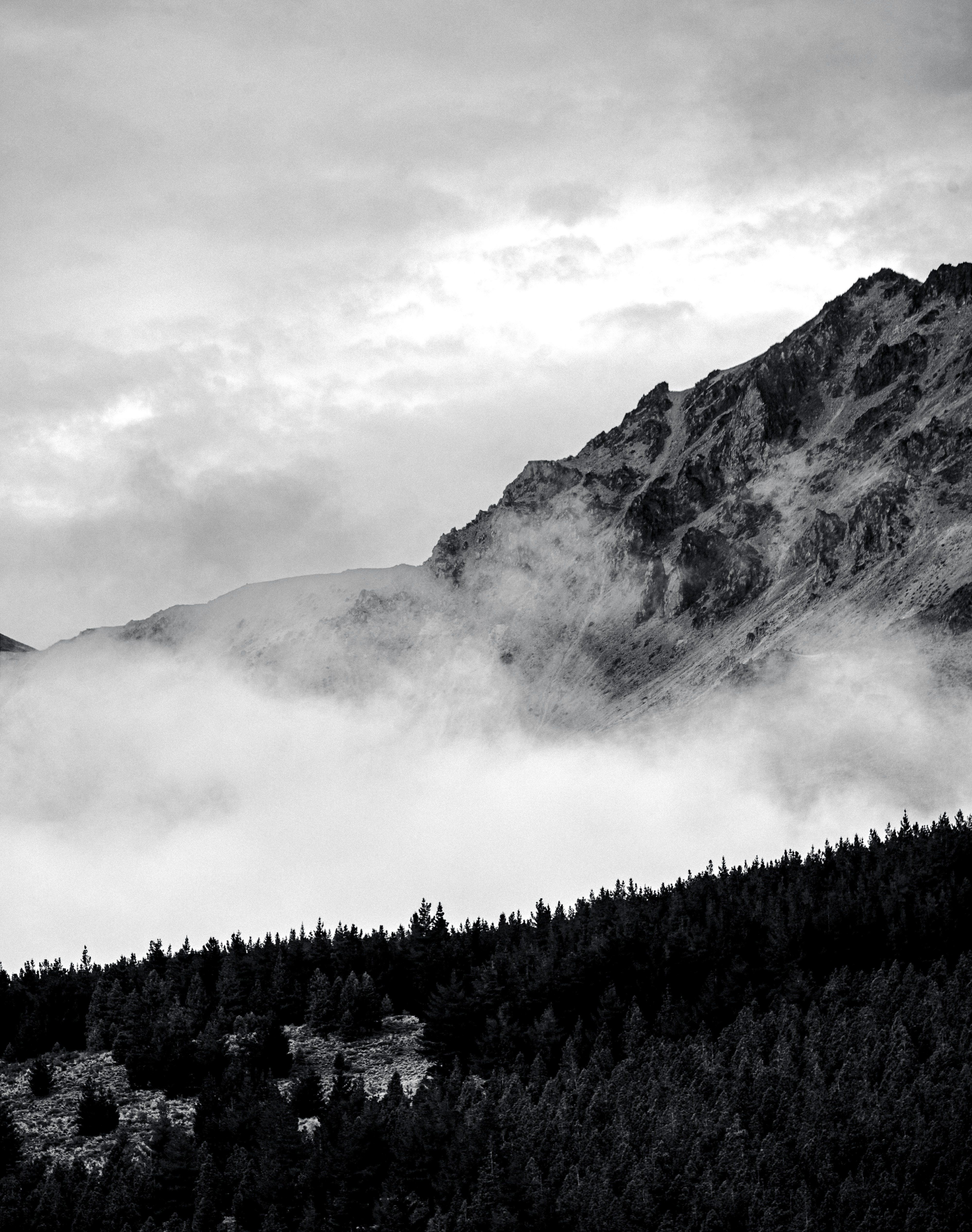 Mist Crowned Ridge