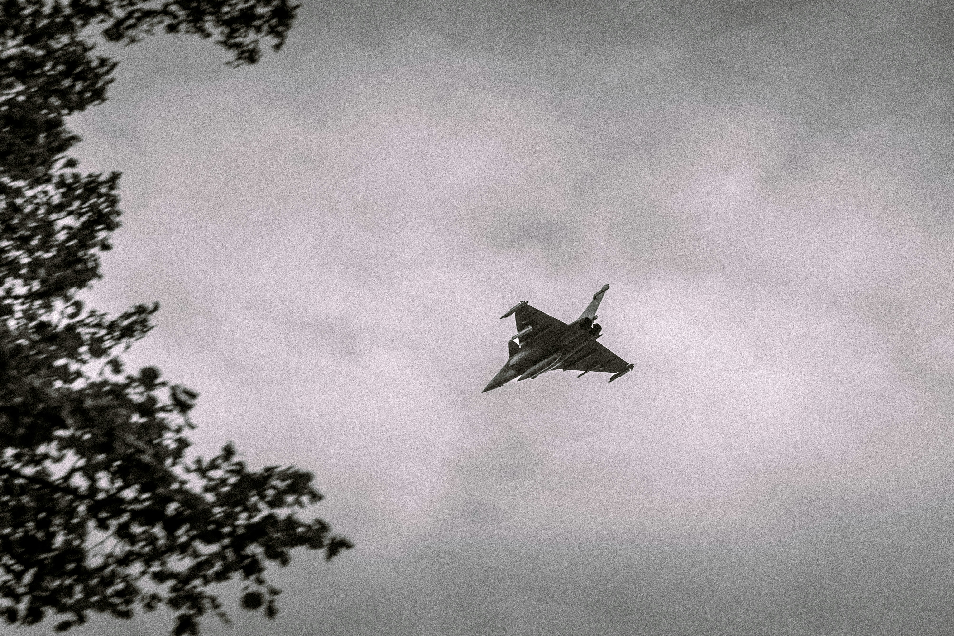 Jet in a Quiet Skies: A Swift Moment Above Dappled Canopy