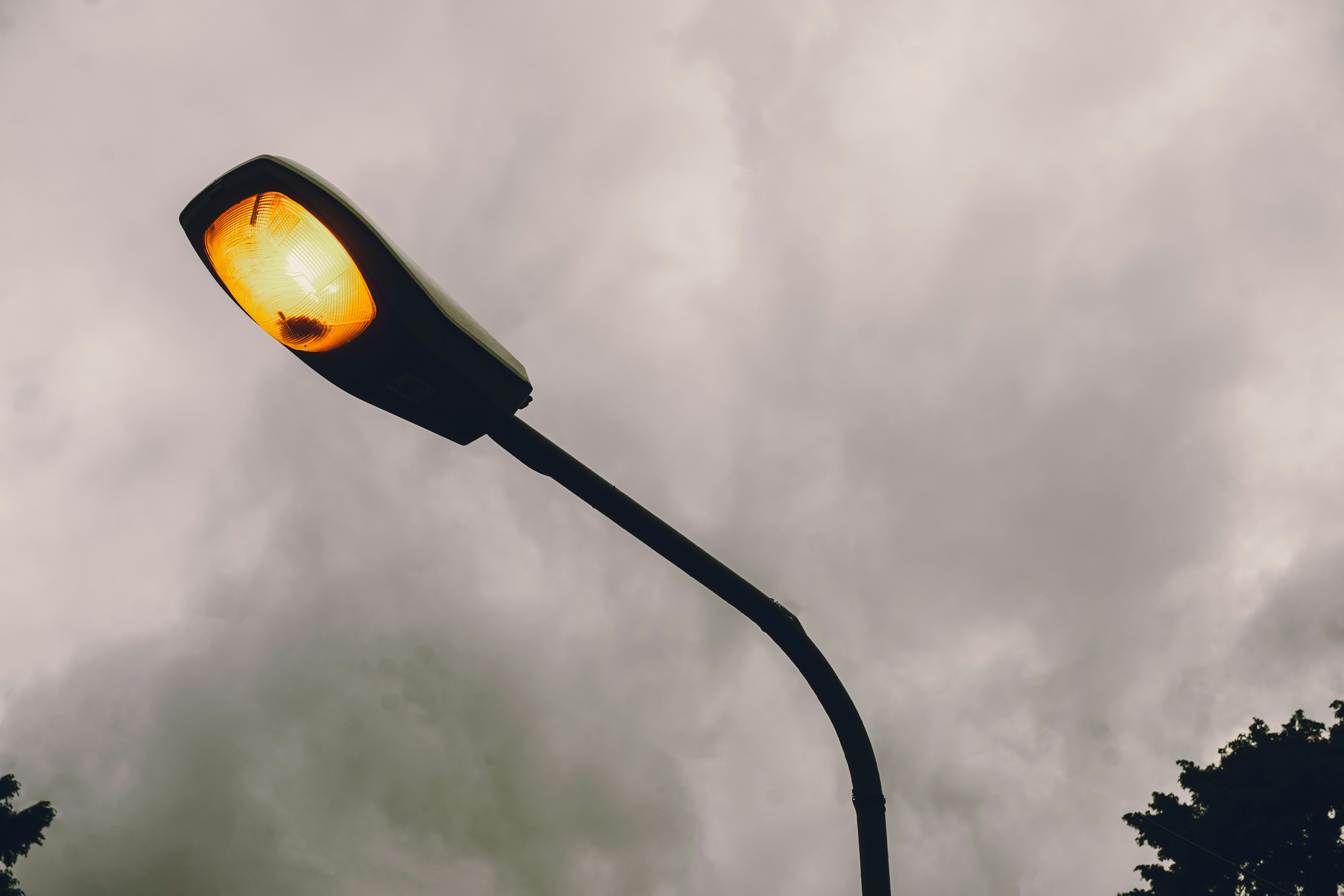 Amber Eyed Streetlight Reaching Toward the Sky