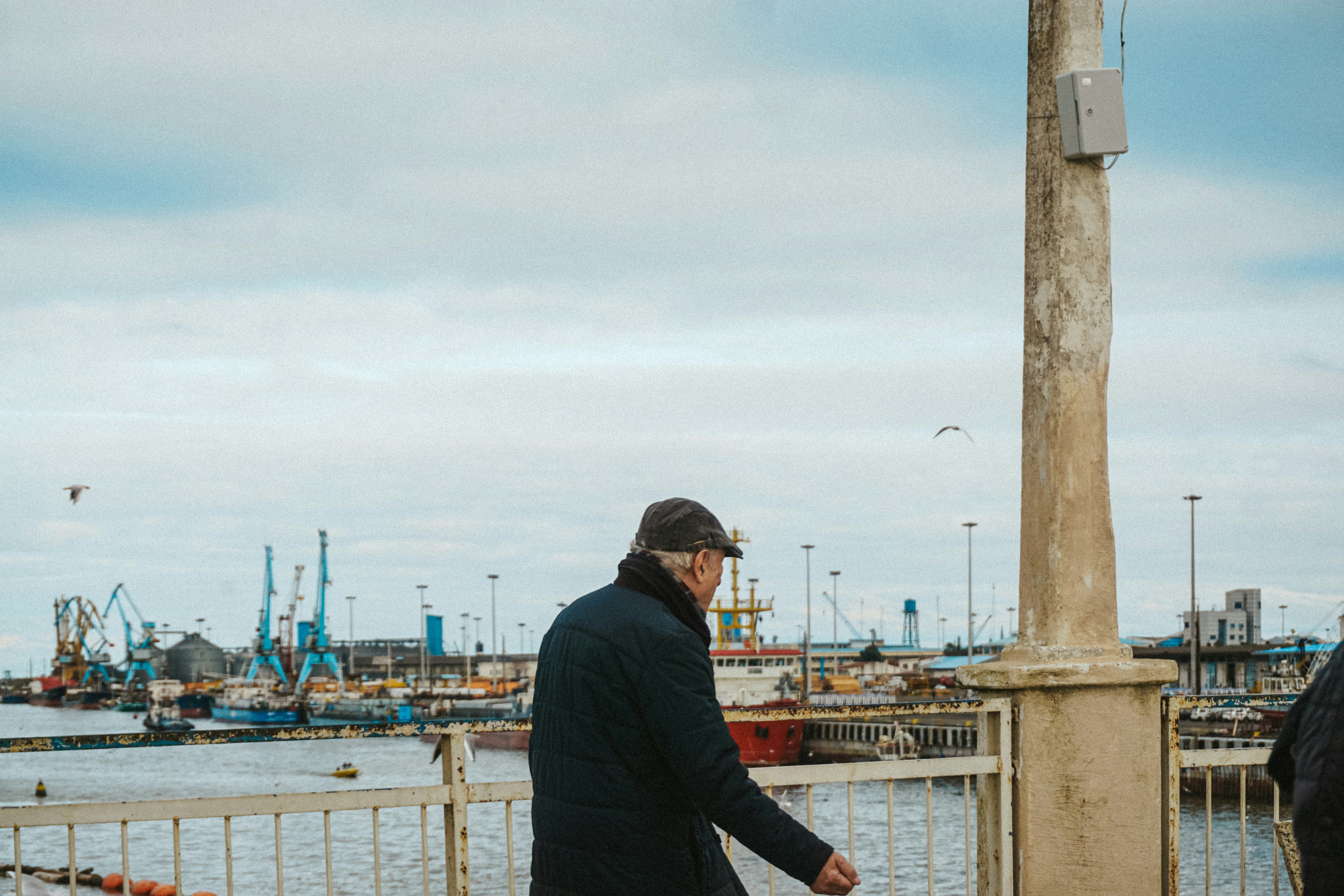 Harbor Walk: A Quiet Moment by the Pier