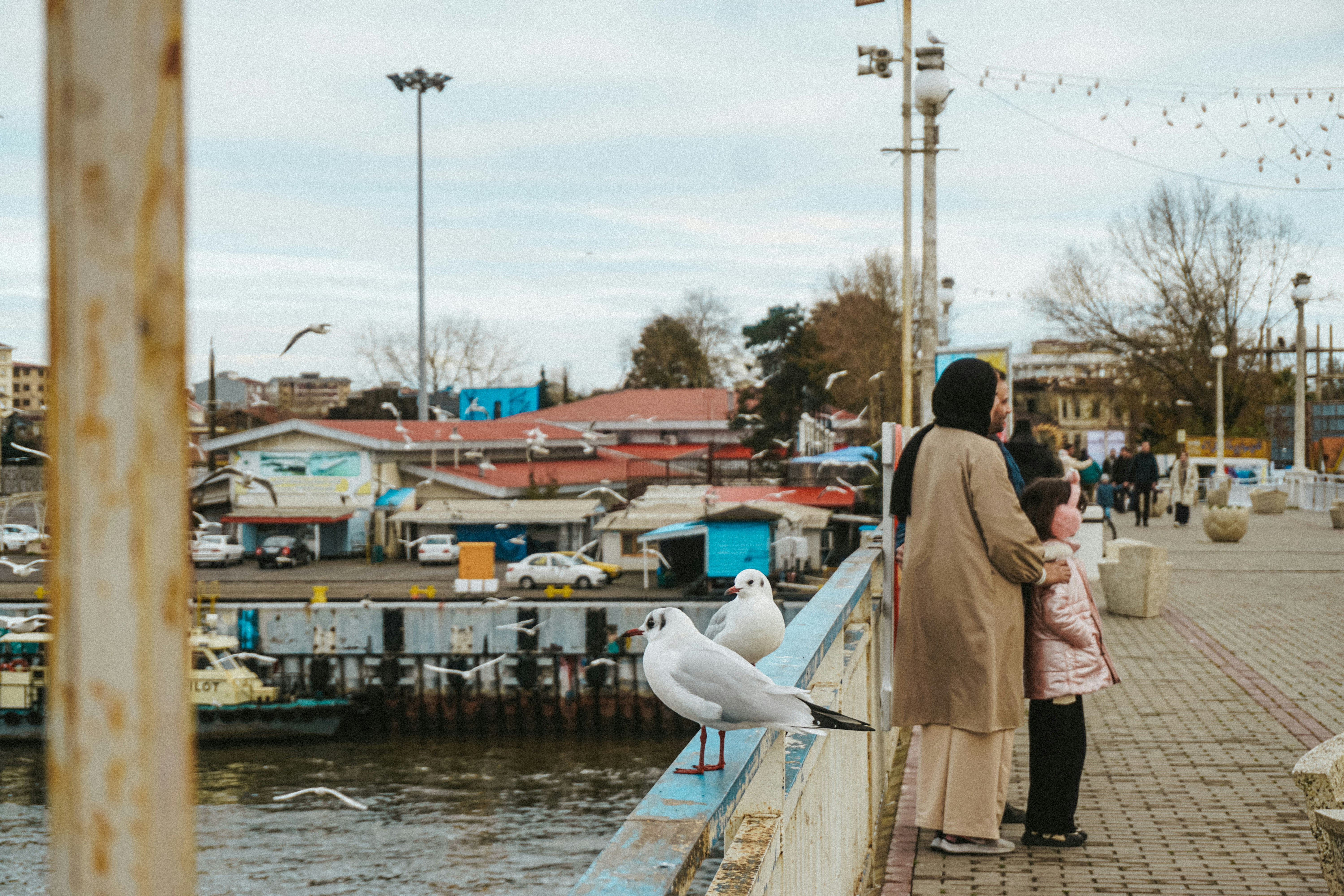 Seaside Promenade Moment: A Couple and a Seagull By the Pier
