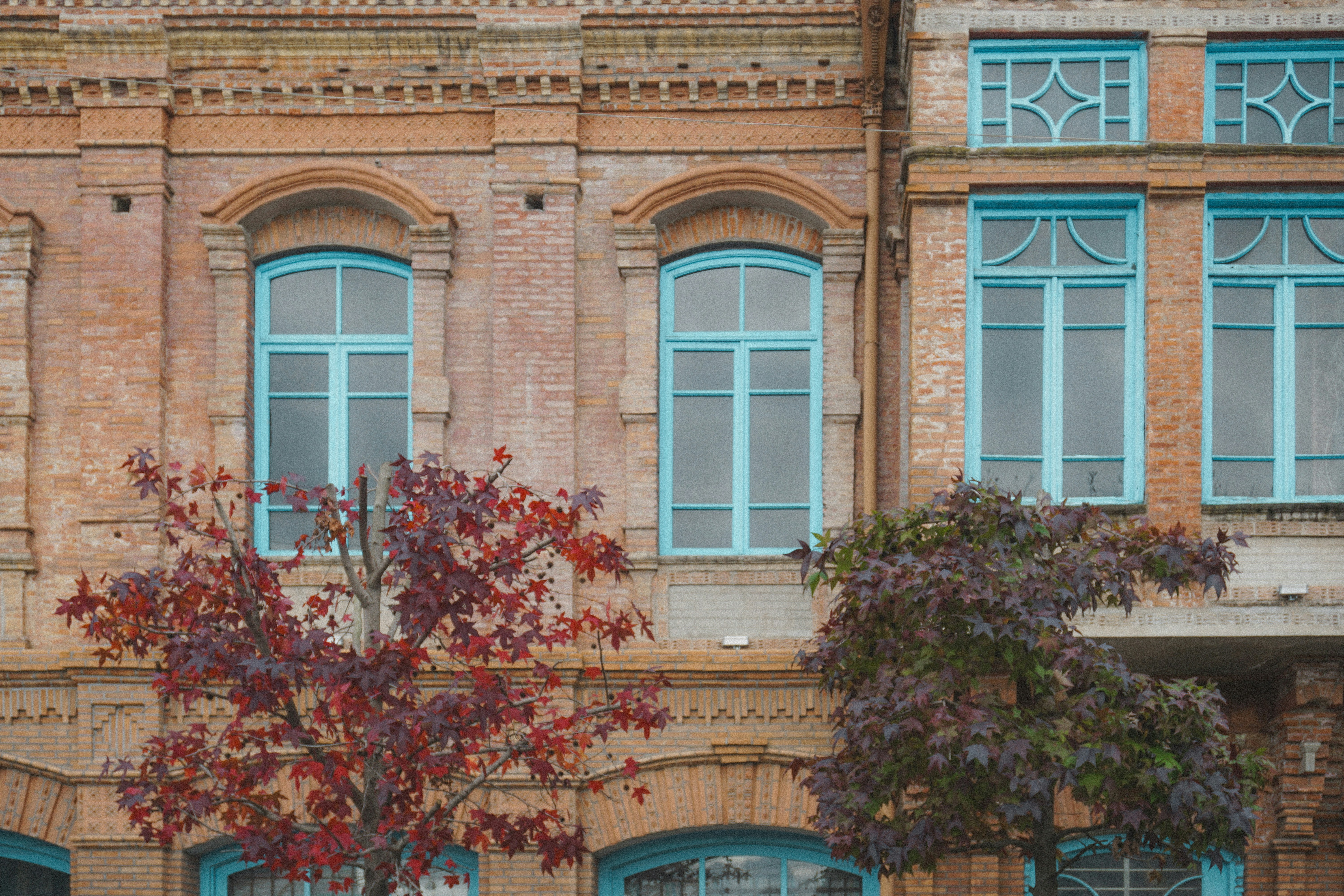 Brickwork Archivist: Windows, Arches, and Red-Leafed Trees