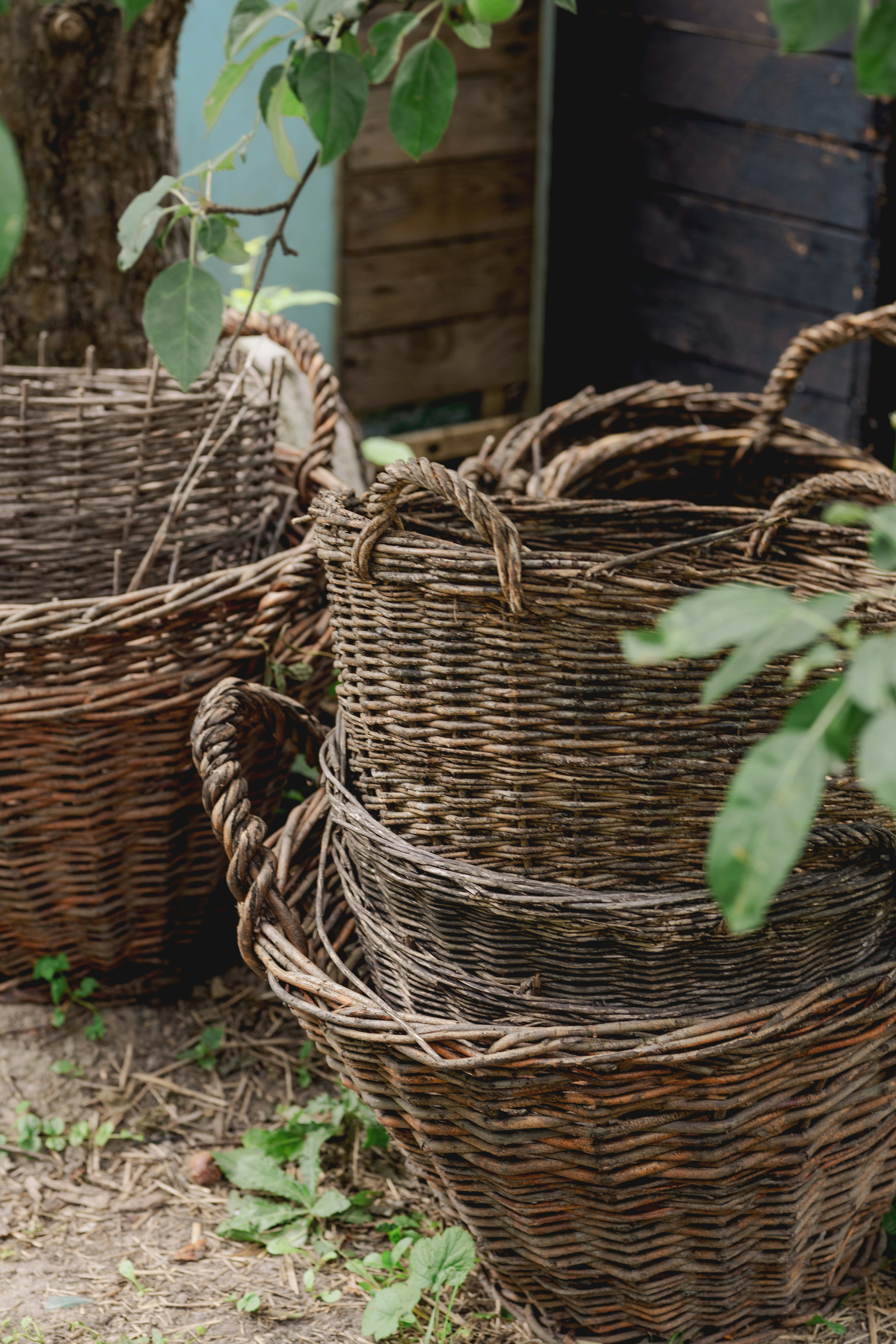 Twined baskets beneath a leafy canopy
