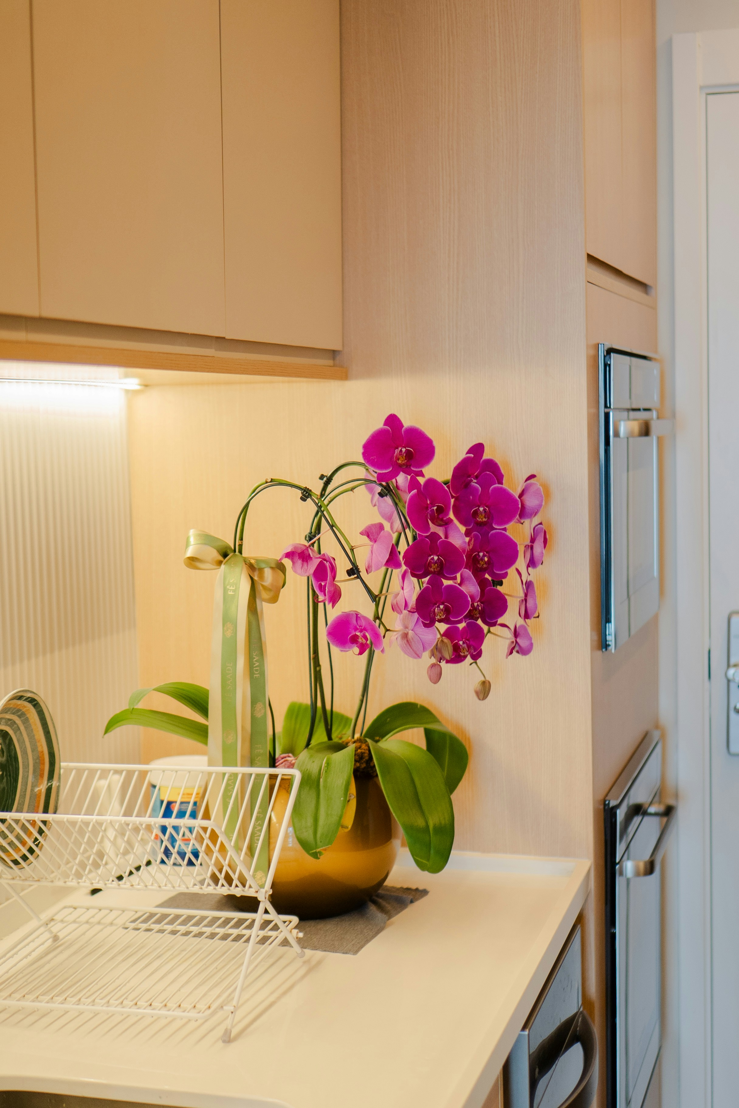 Orchid on the Kitchen Counter: A Quiet Floral Accent