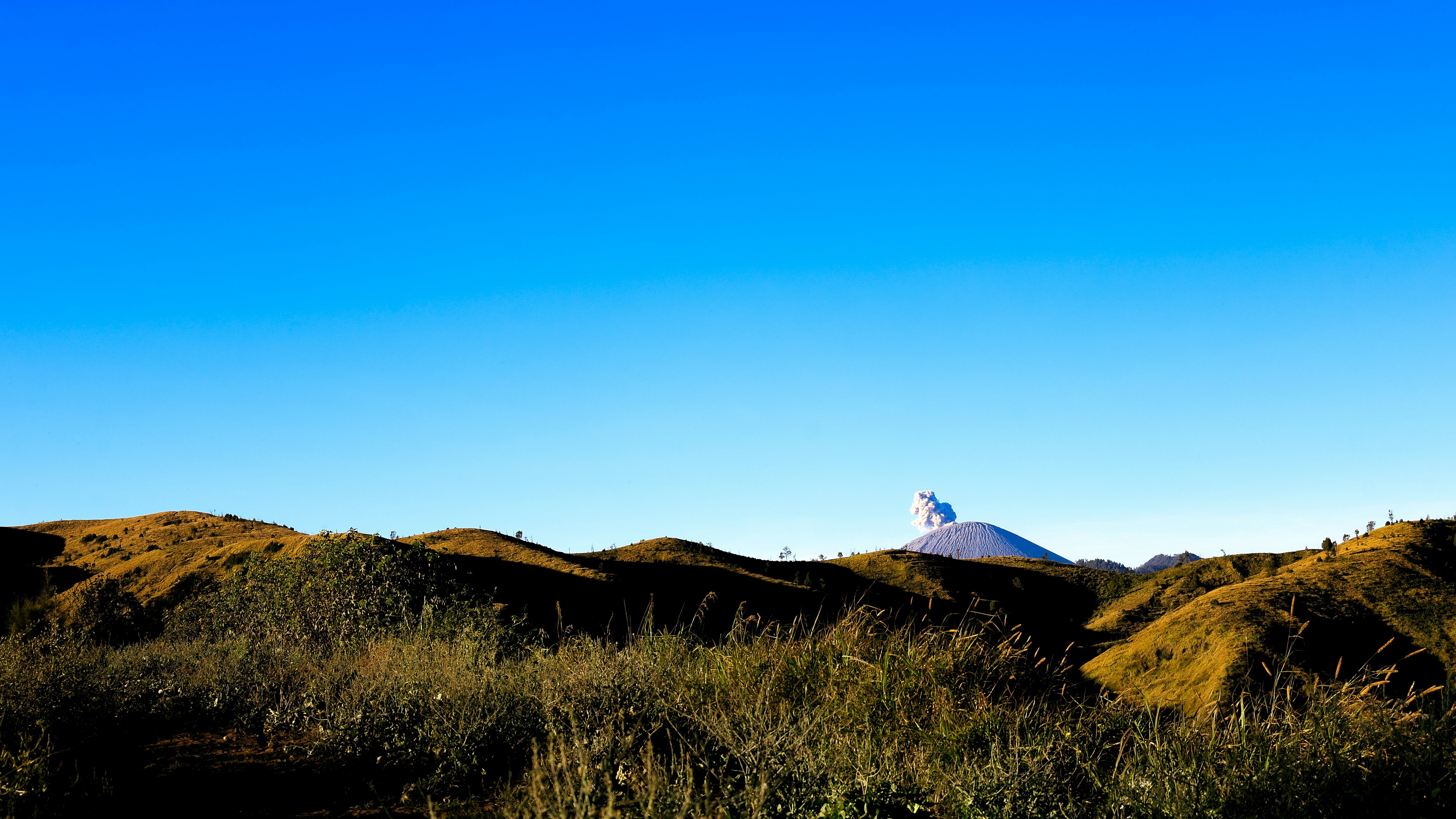 Ridge above the desert bloom under a flawless cerulean sky