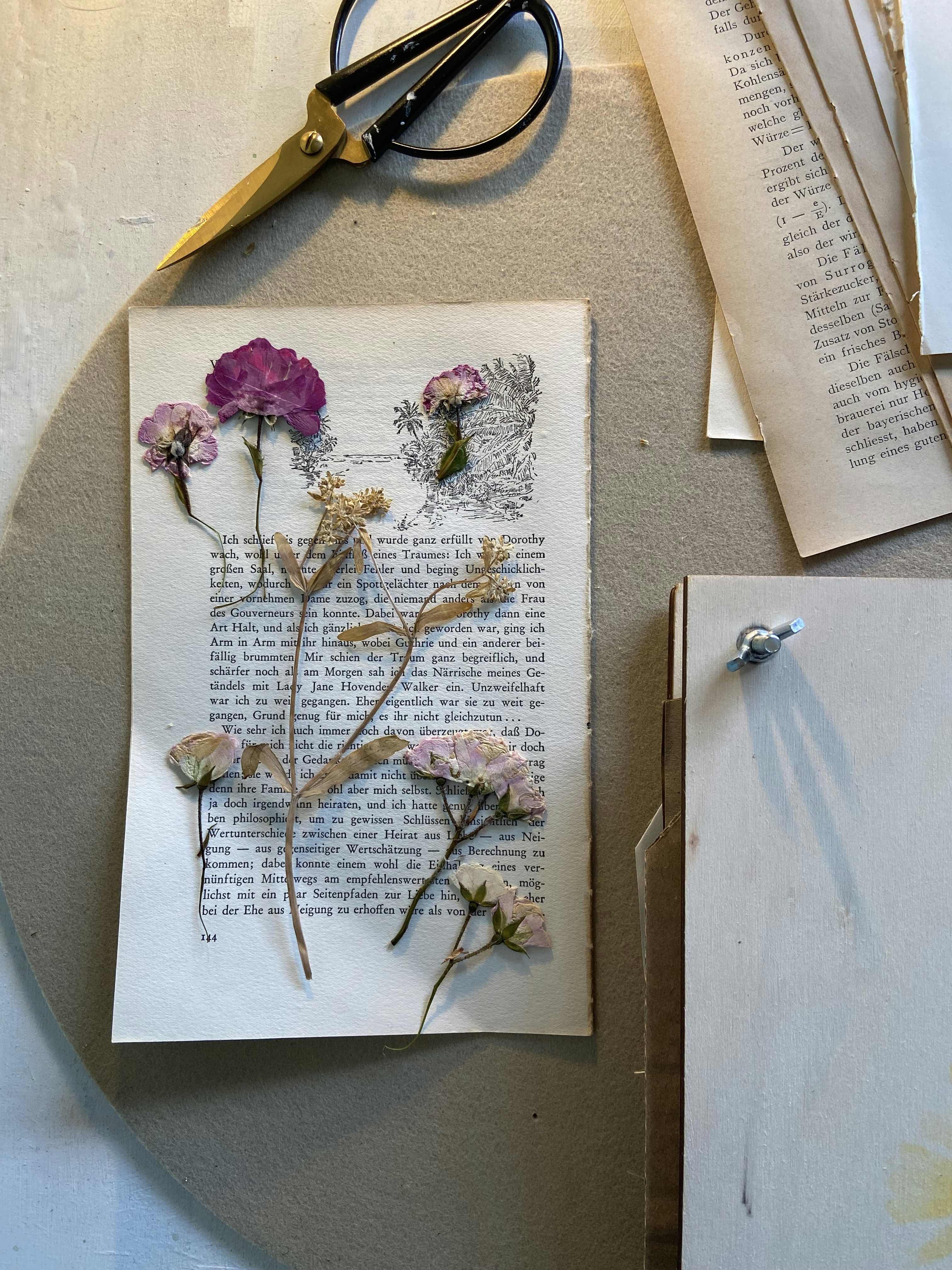 Pressed Petals Above Page Fragments