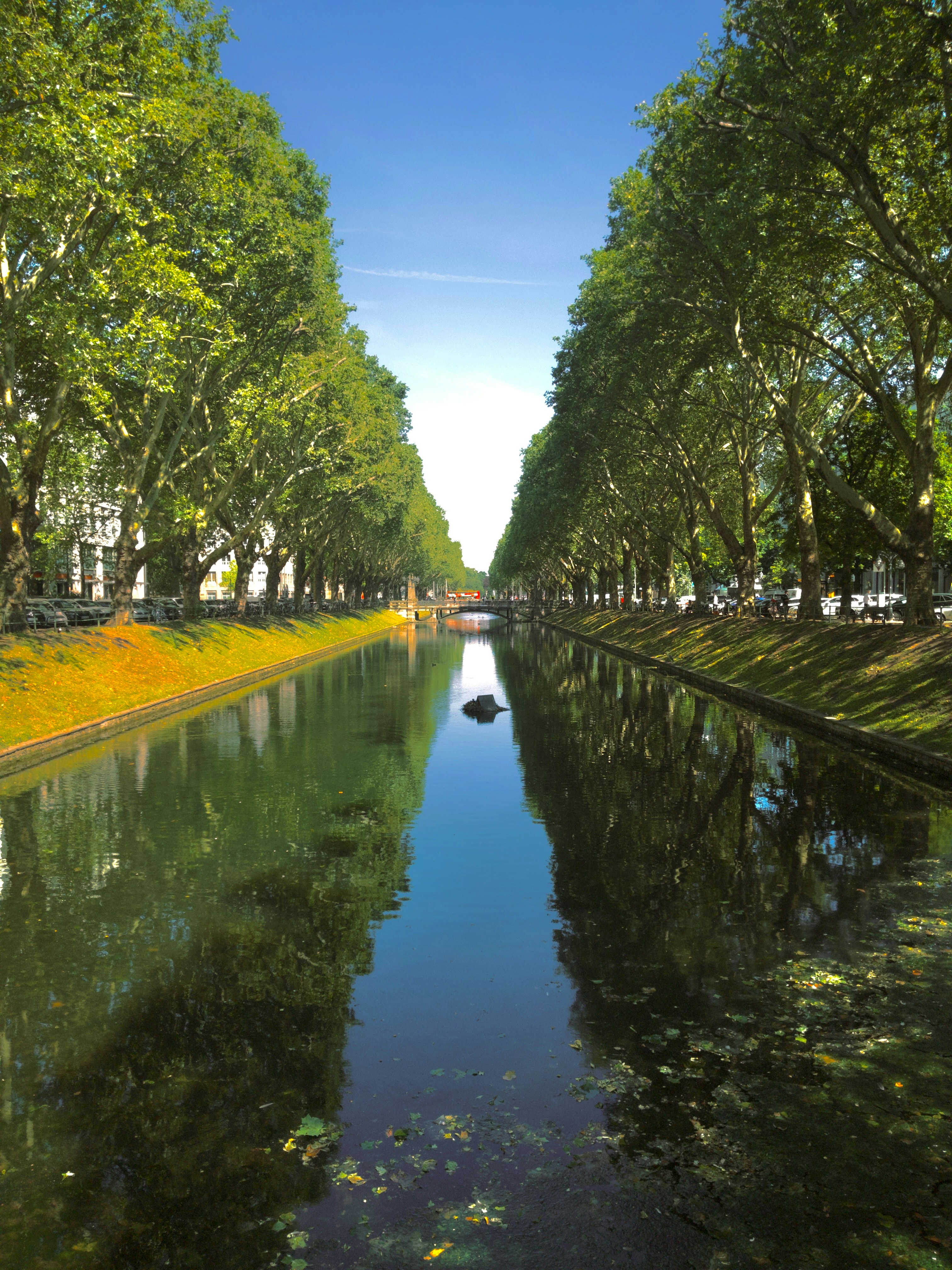 Symmetrical Canal Corridor Framed by Verdant Canopy