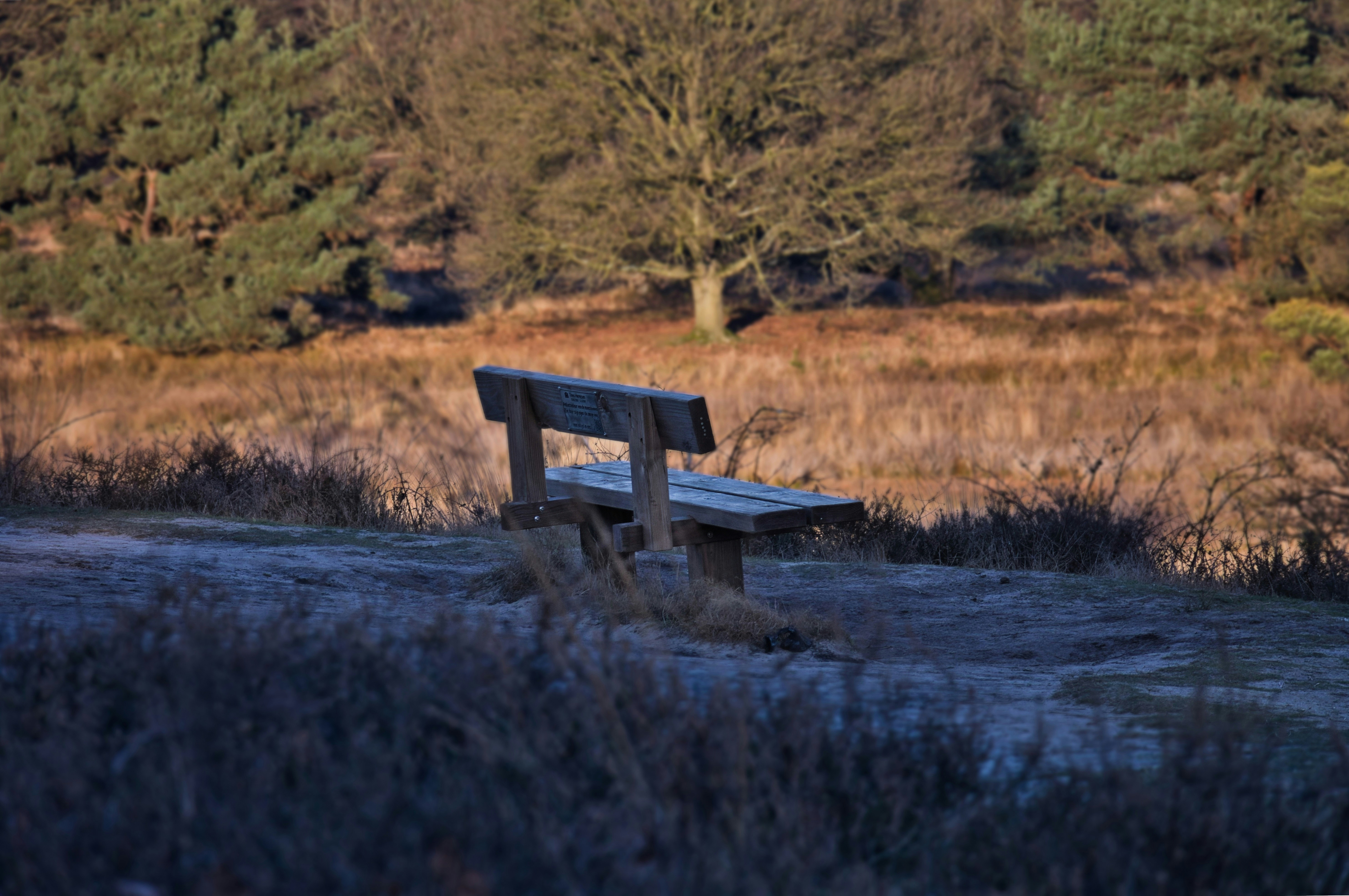 Lonely Bench in the Quiet Moor at Dusk