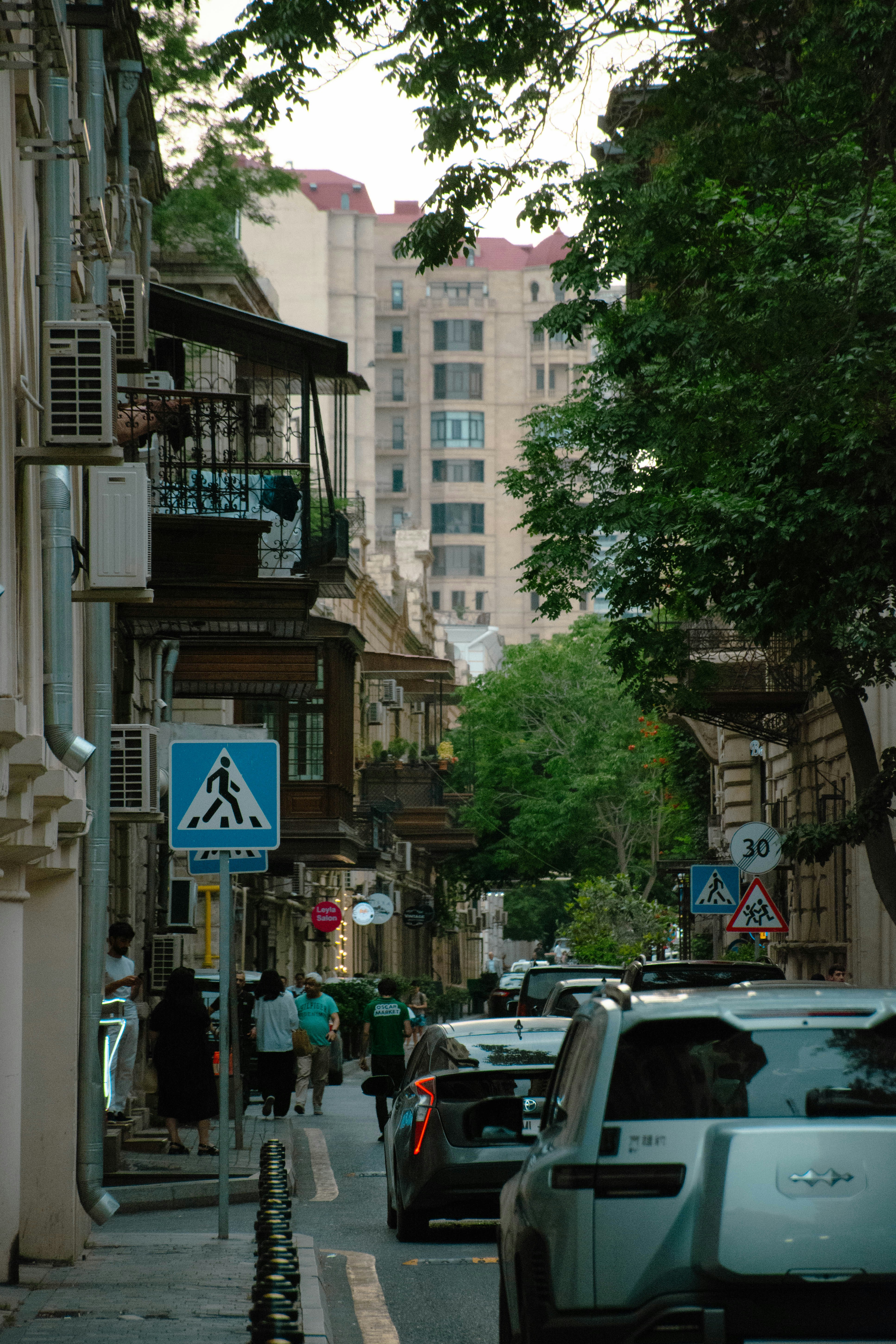 City Street Corridor: pedestrians, parked cars, and a tree-lined avenue