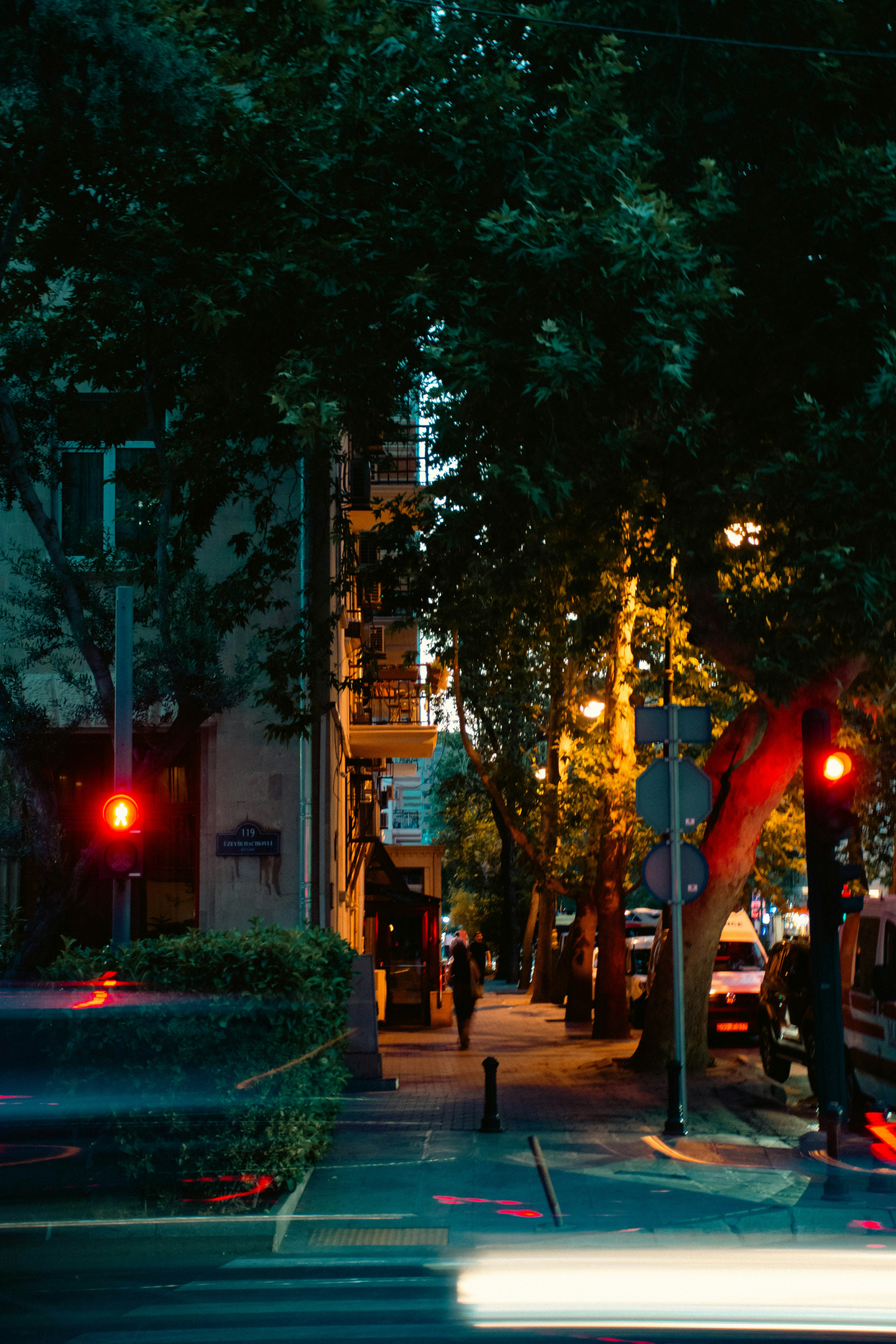 City Street Night: A Quiet Walk Beneath Neon Fire