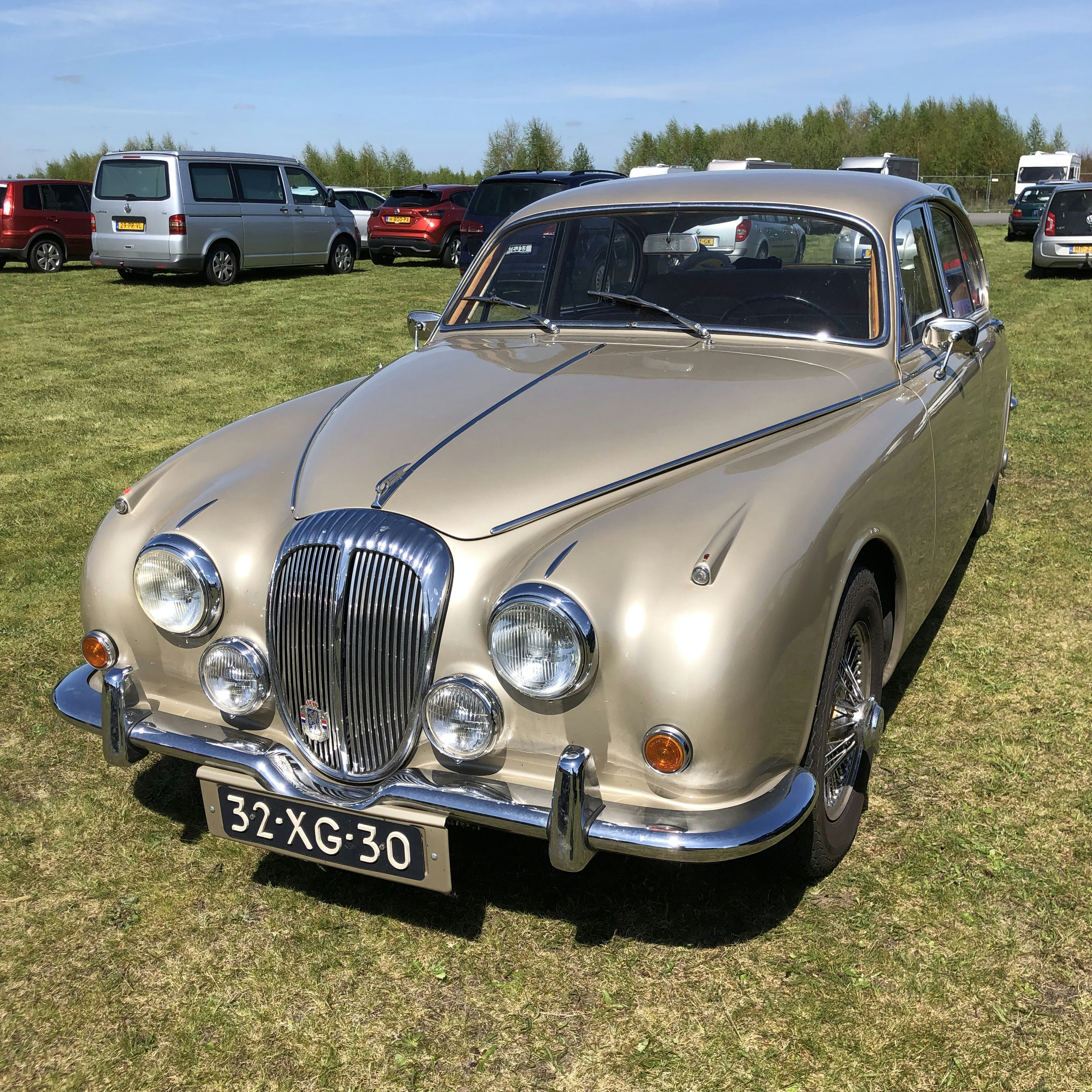Timeless Jaguar Radiance: A Vintage Car Basks in Summer Sun