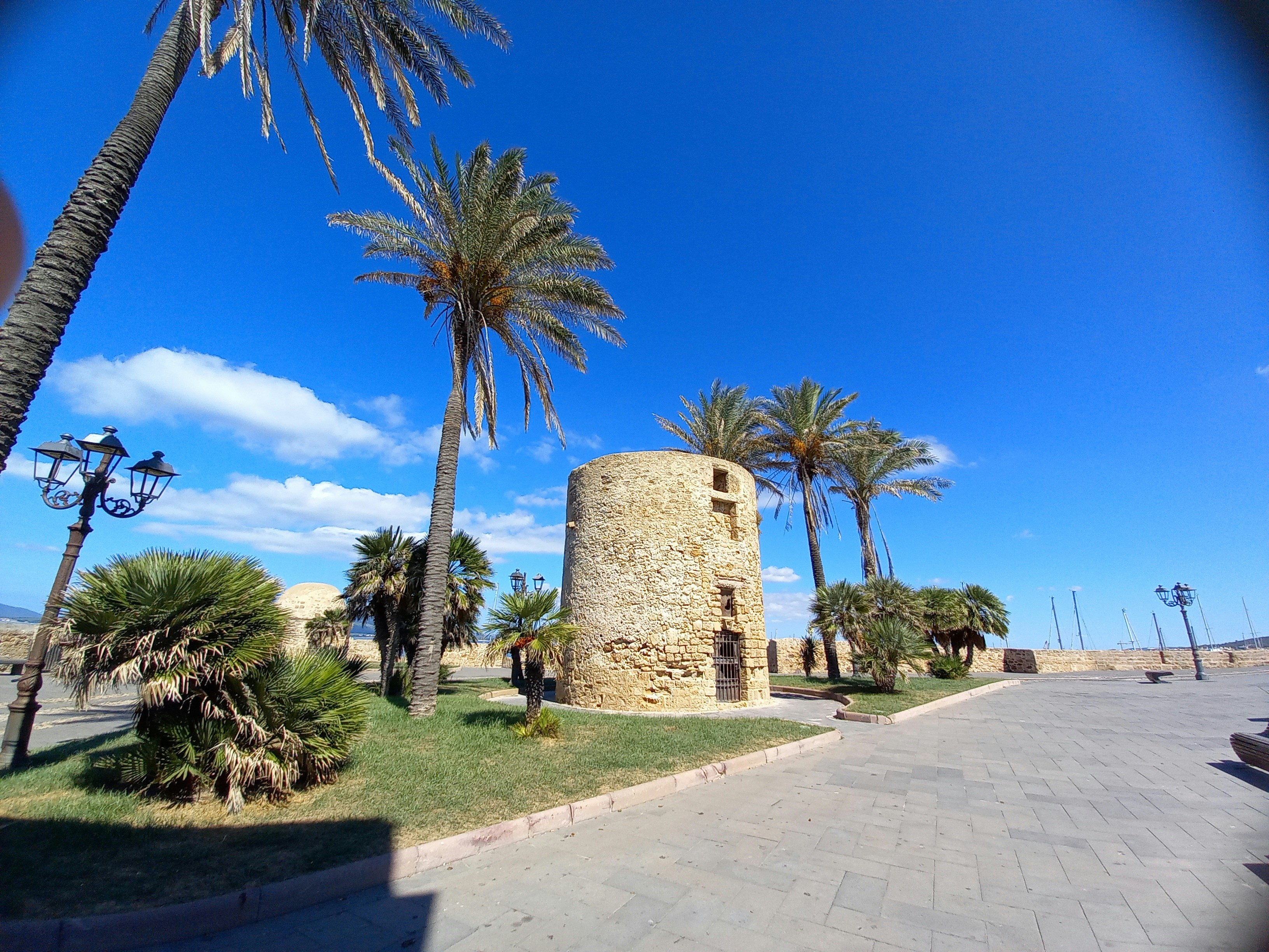 Towering Palm Shadow and Stone Watchtower Along a Sunny Coastal Plaza