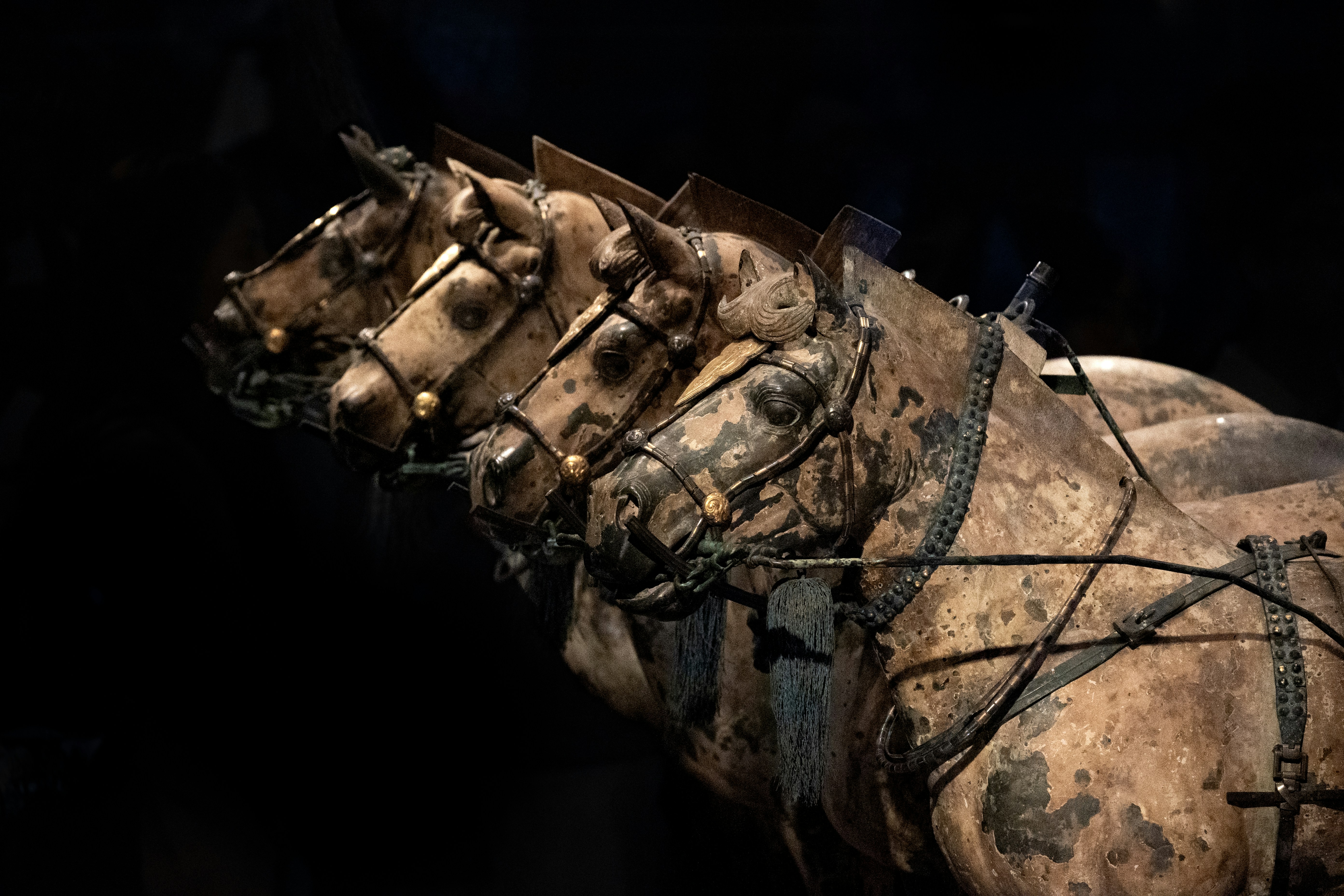 Dark Lineage: A Row of Mud-Smeared Horse Faces in Harness