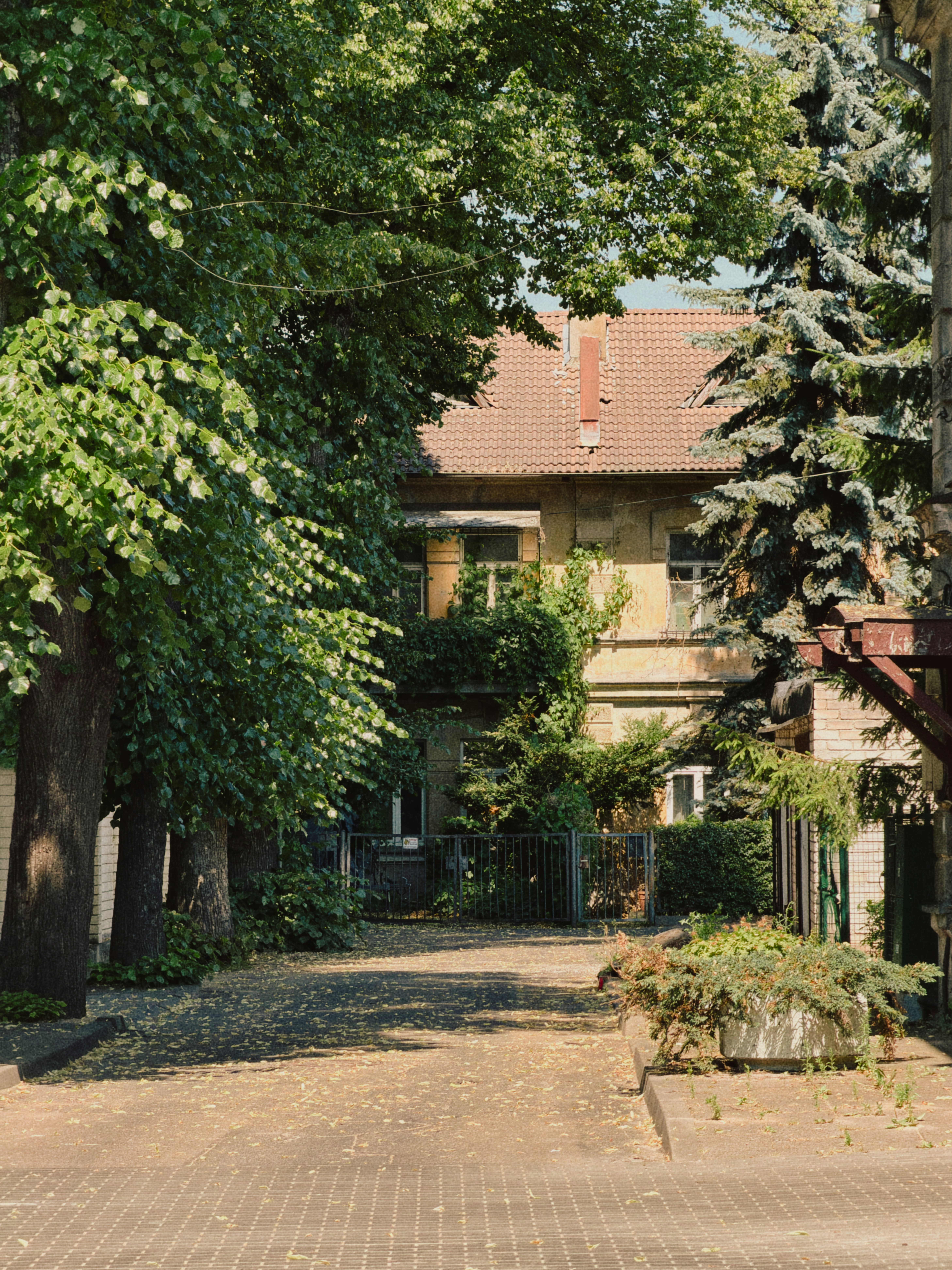 Sunlit Courtyard Threshold