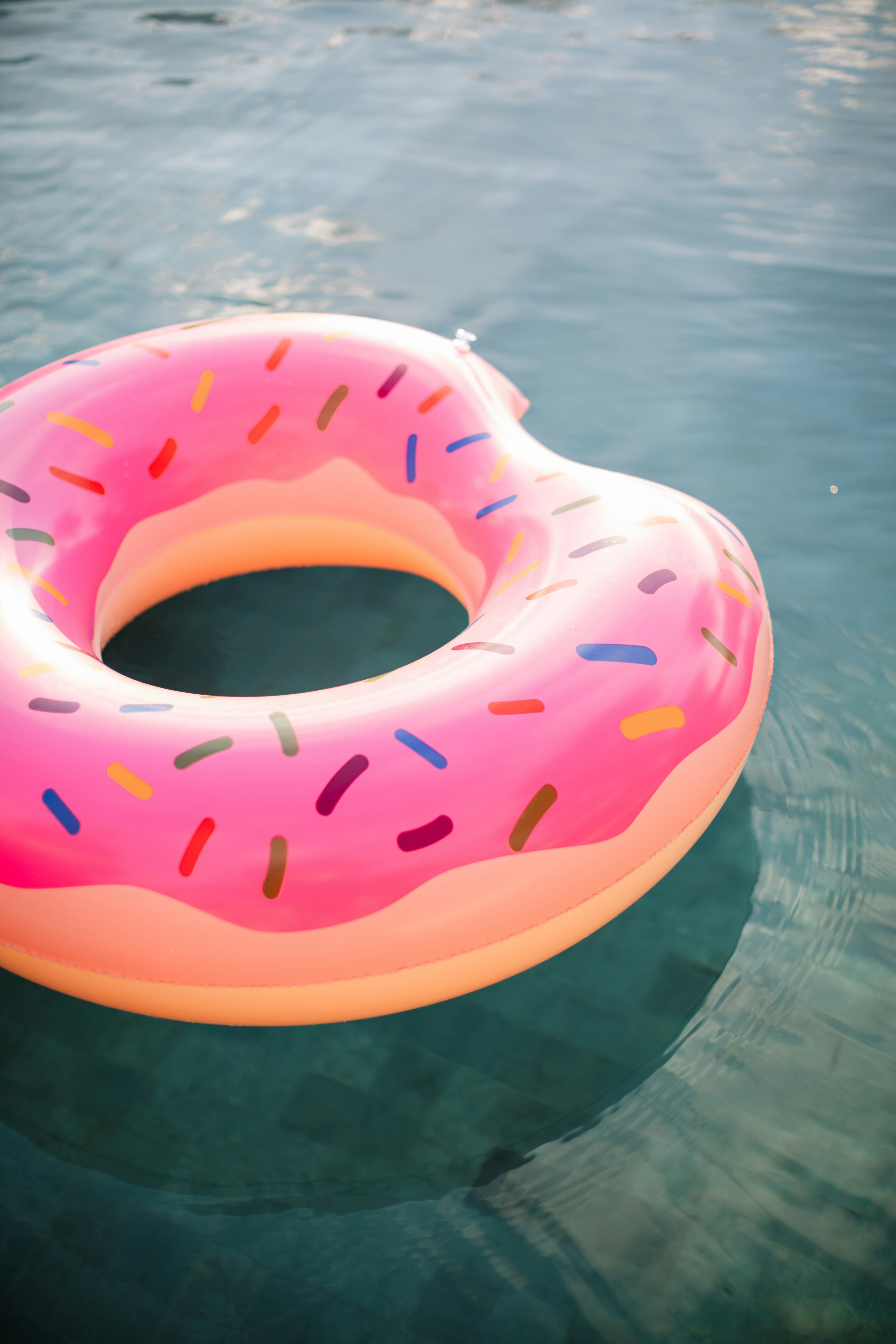 Pink Sprinkles Afloat: A Buoyant Moment on Quiet Water