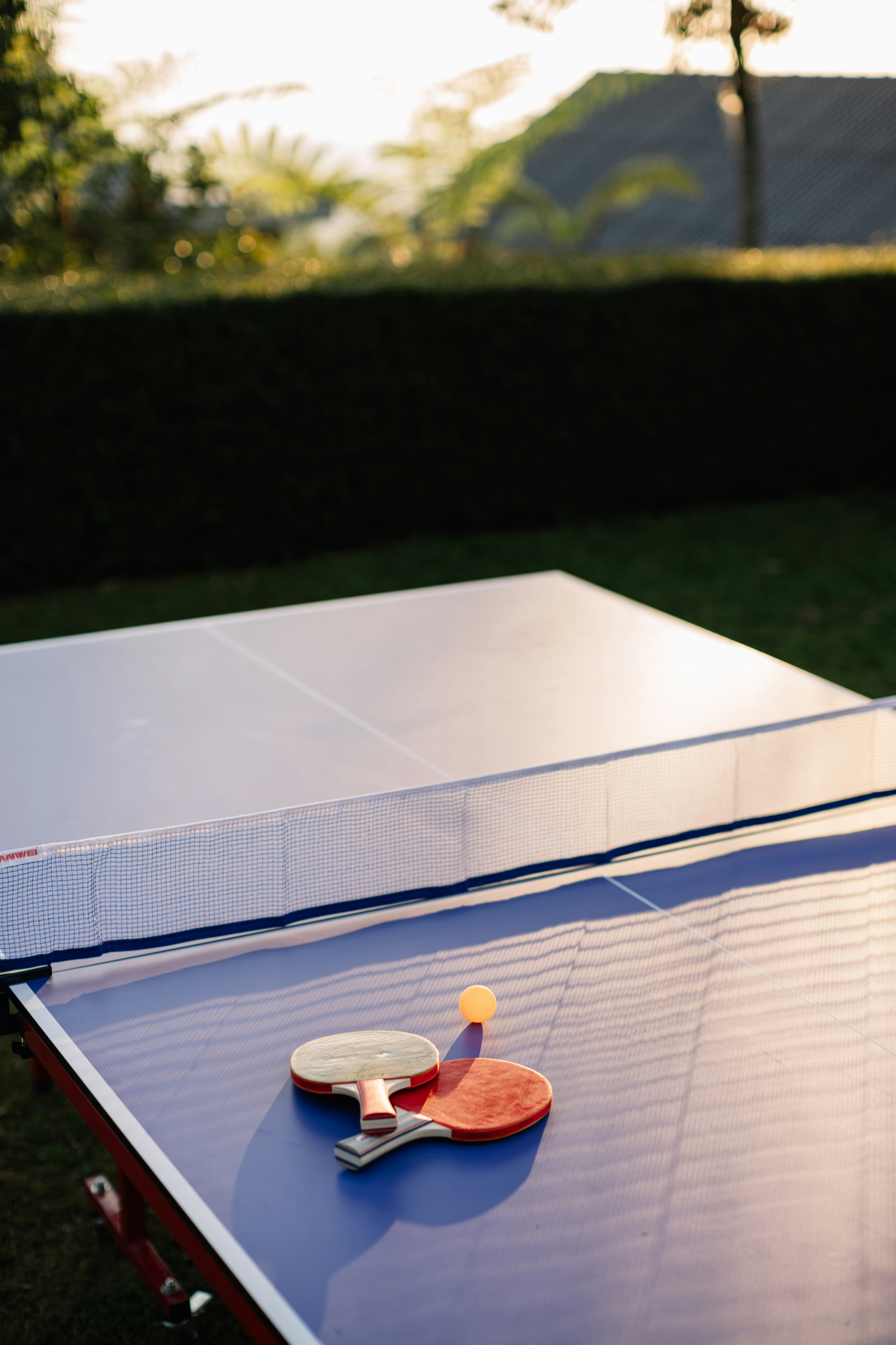 Ping-Pong Pause: Evening Glow on a Backyard Table