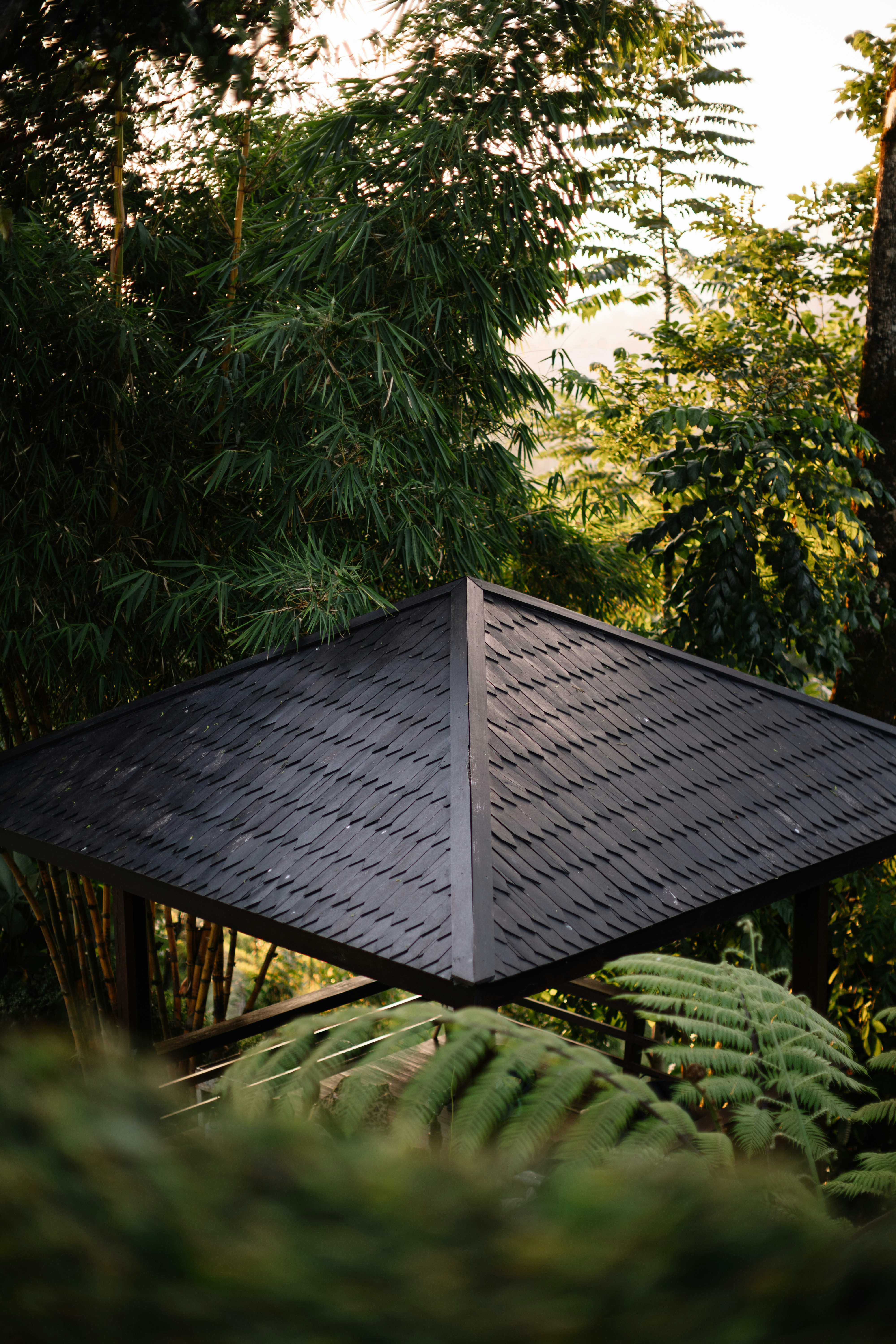 Hidden Pagoda Roof Amid Tropical Foliage