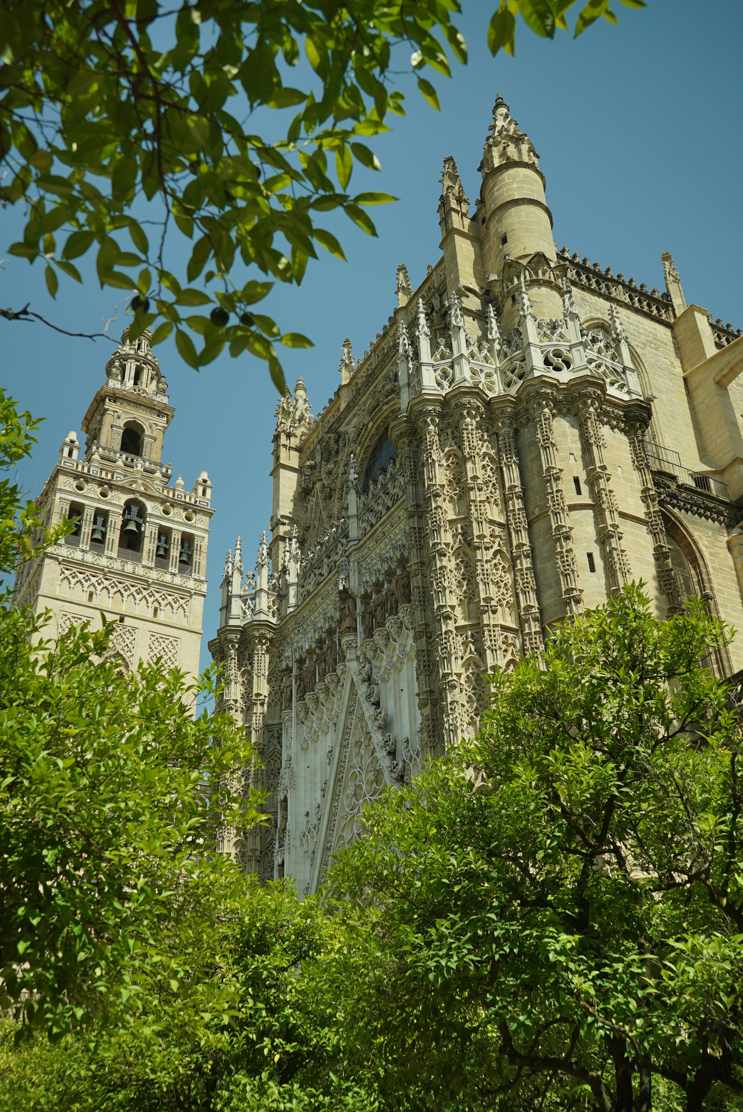 The intricate Gothic exterior of Seville Cathedral stands beside the towering La Giralda, framed by lush orange trees in the surrounding gardens. Shot with Sony a7s // La elaborada fachada gótica de la Catedral de Sevilla aparece junto a la imponente Giralda, enmarcadas por frondosos naranjos.