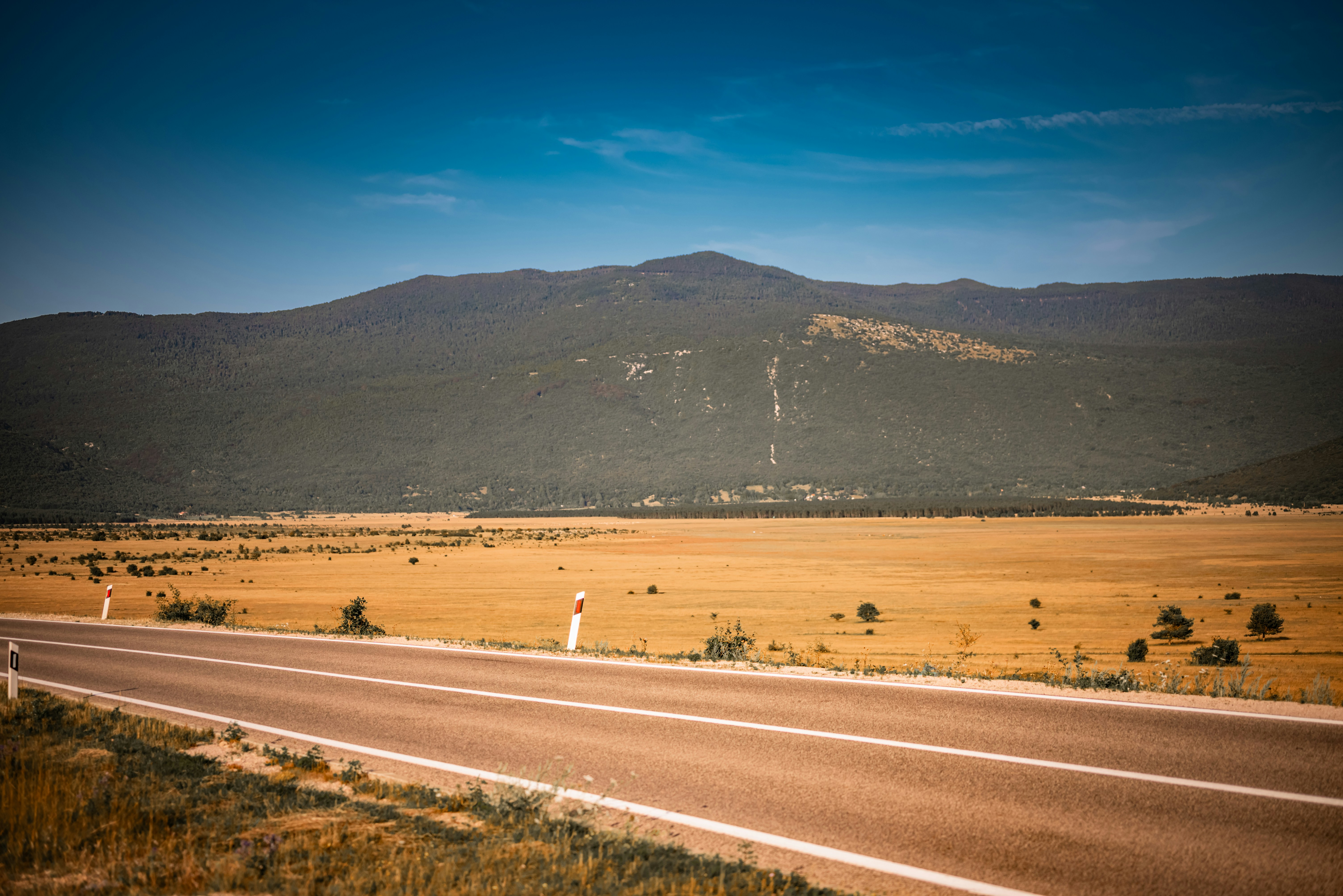 Desert Highway at the Foot of a Quiet Range
