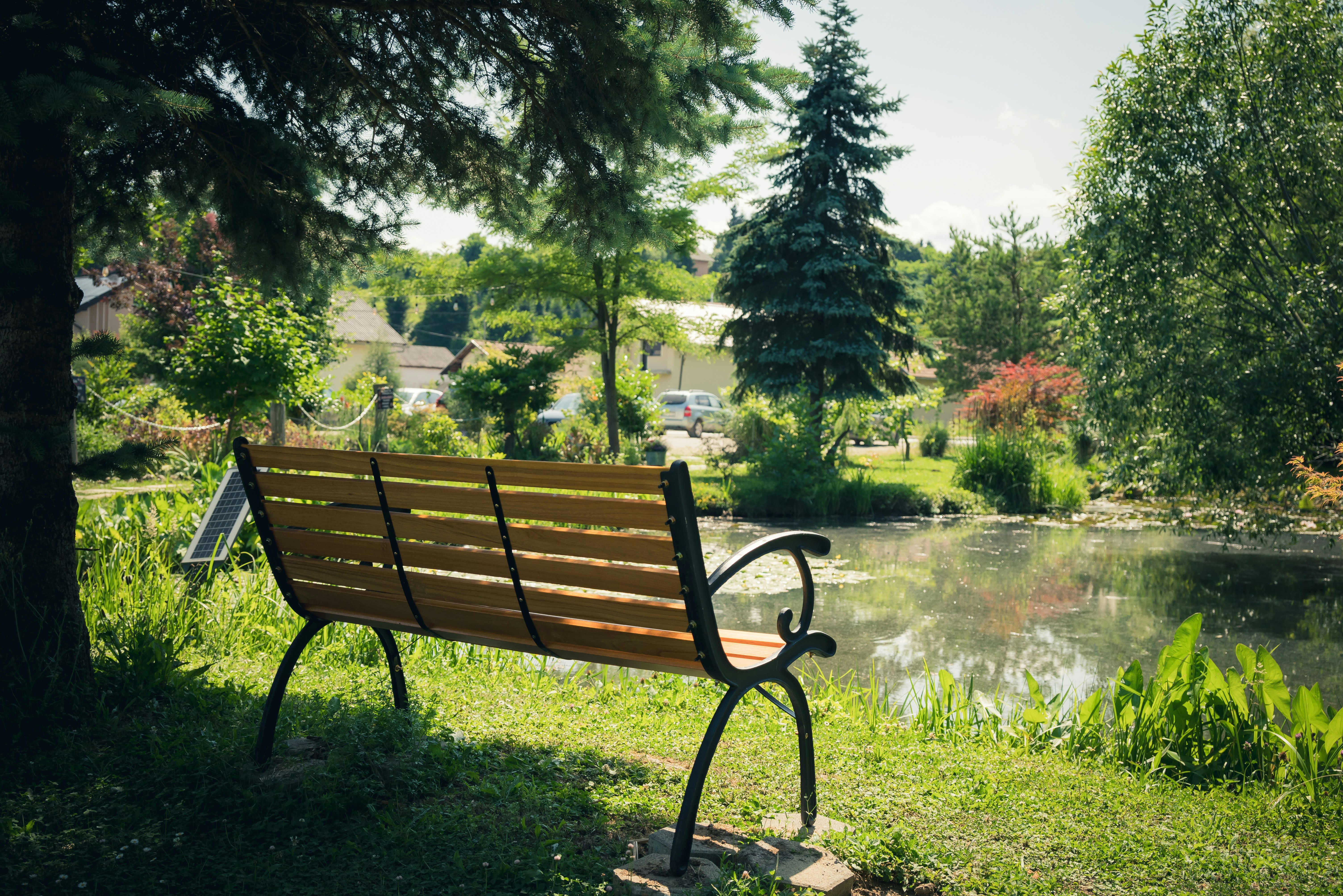 Lone Park Bench with Lake Reflections Under Sunlit Trees