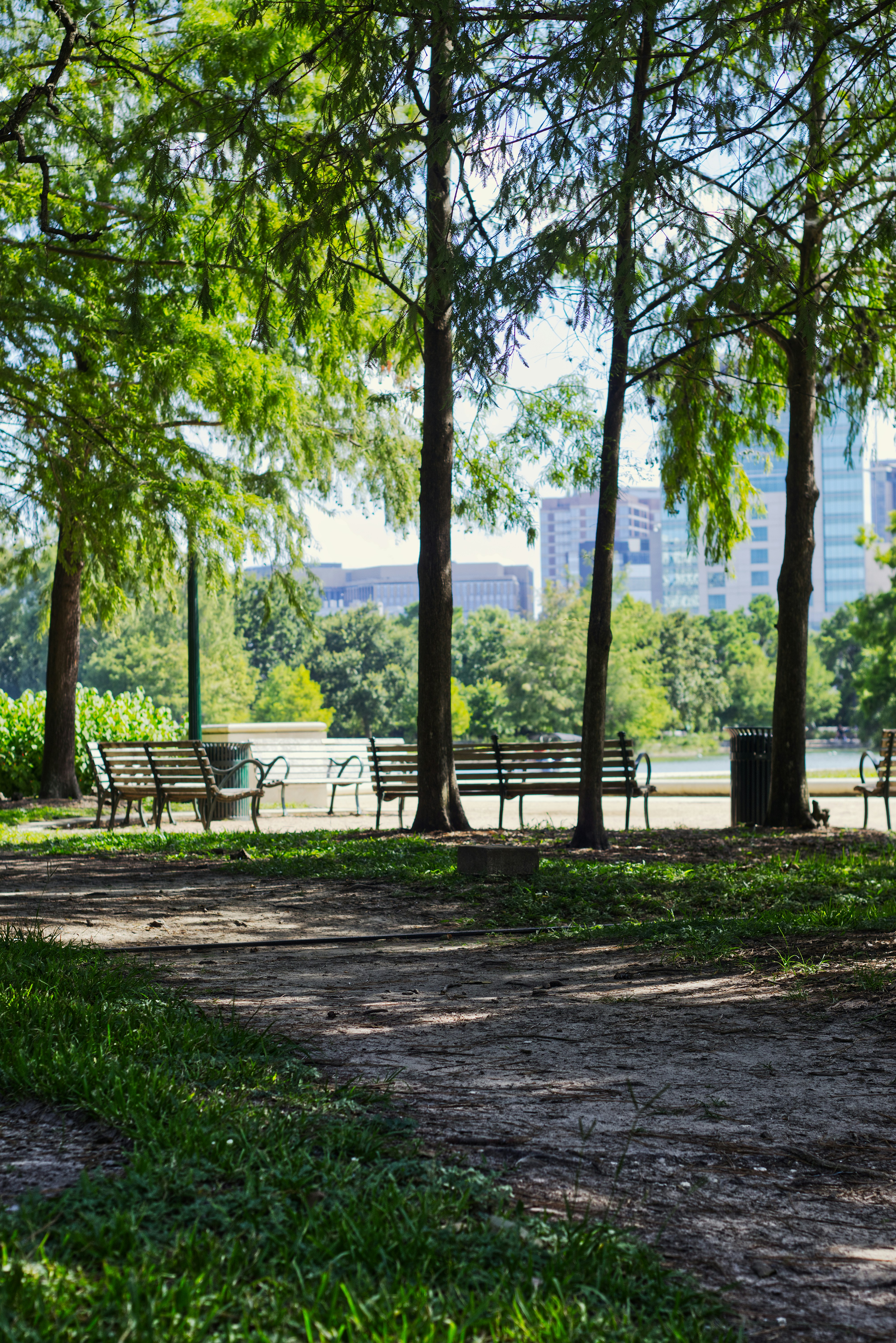 Quiet City Park Vista Framed by Trees and Benches