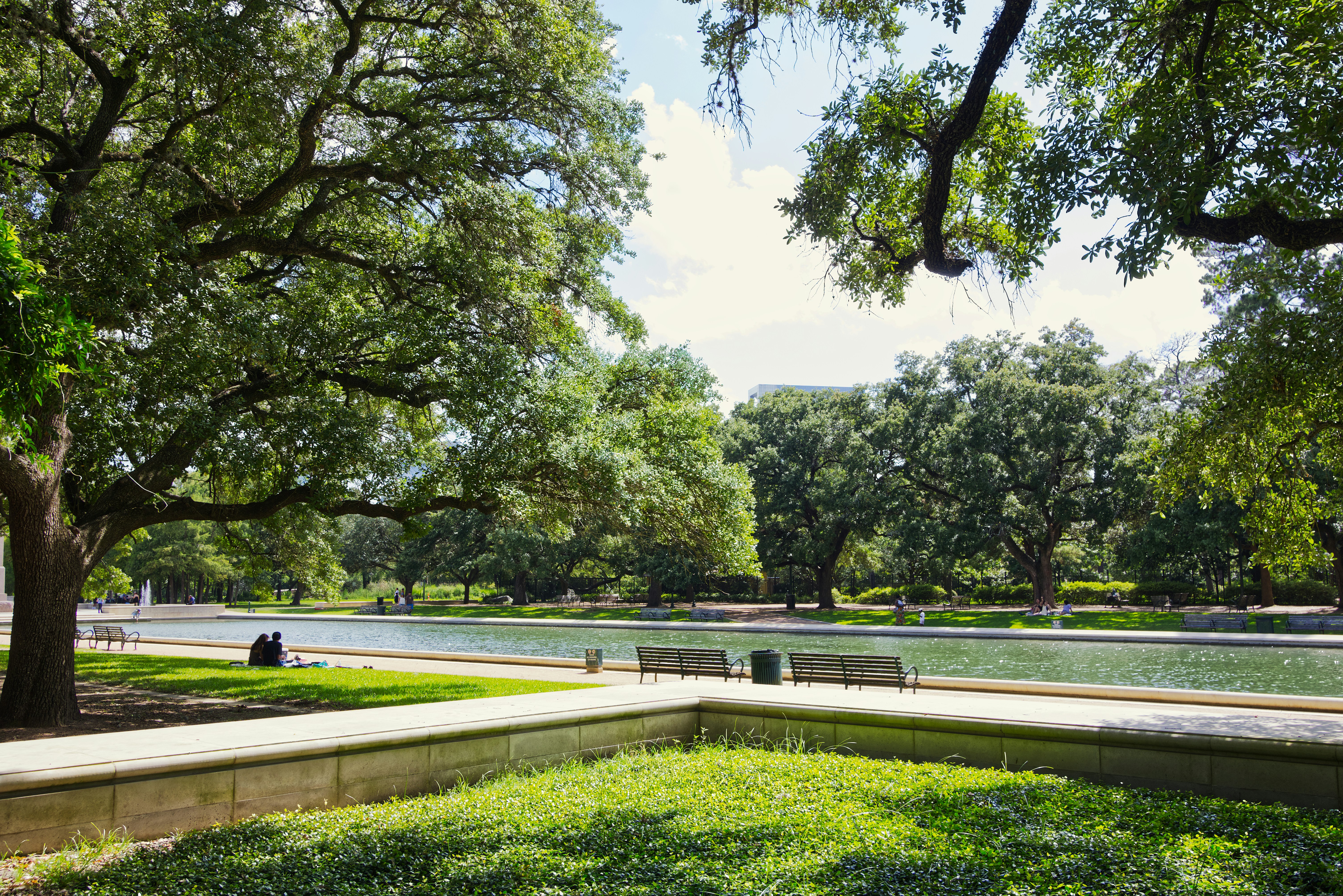 Sunlit Riverside Park with Stately Oaks and Serene Lawn