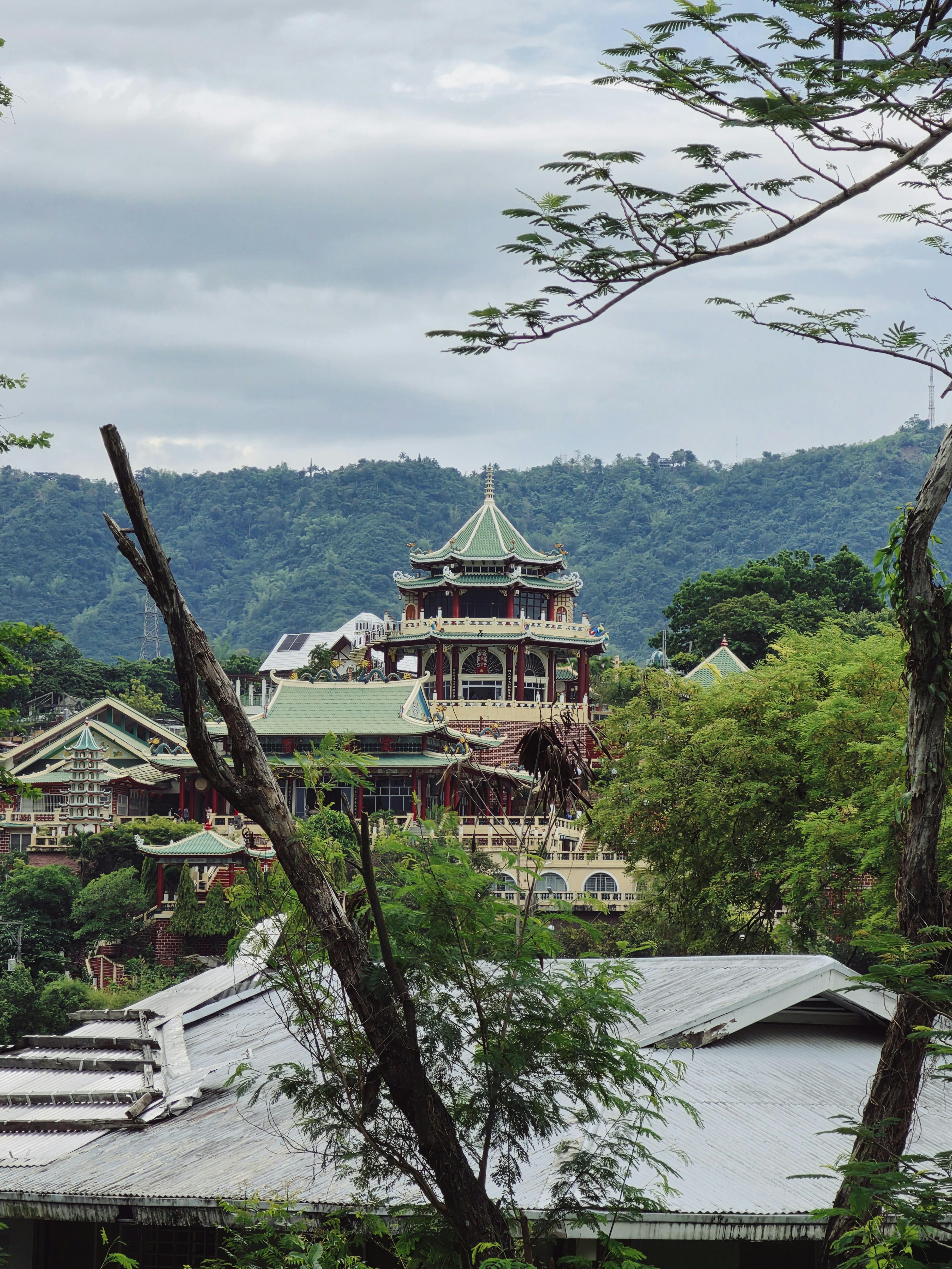 Pagoda Terrace Across Green Hills: A Quiet Shrine Among Pines