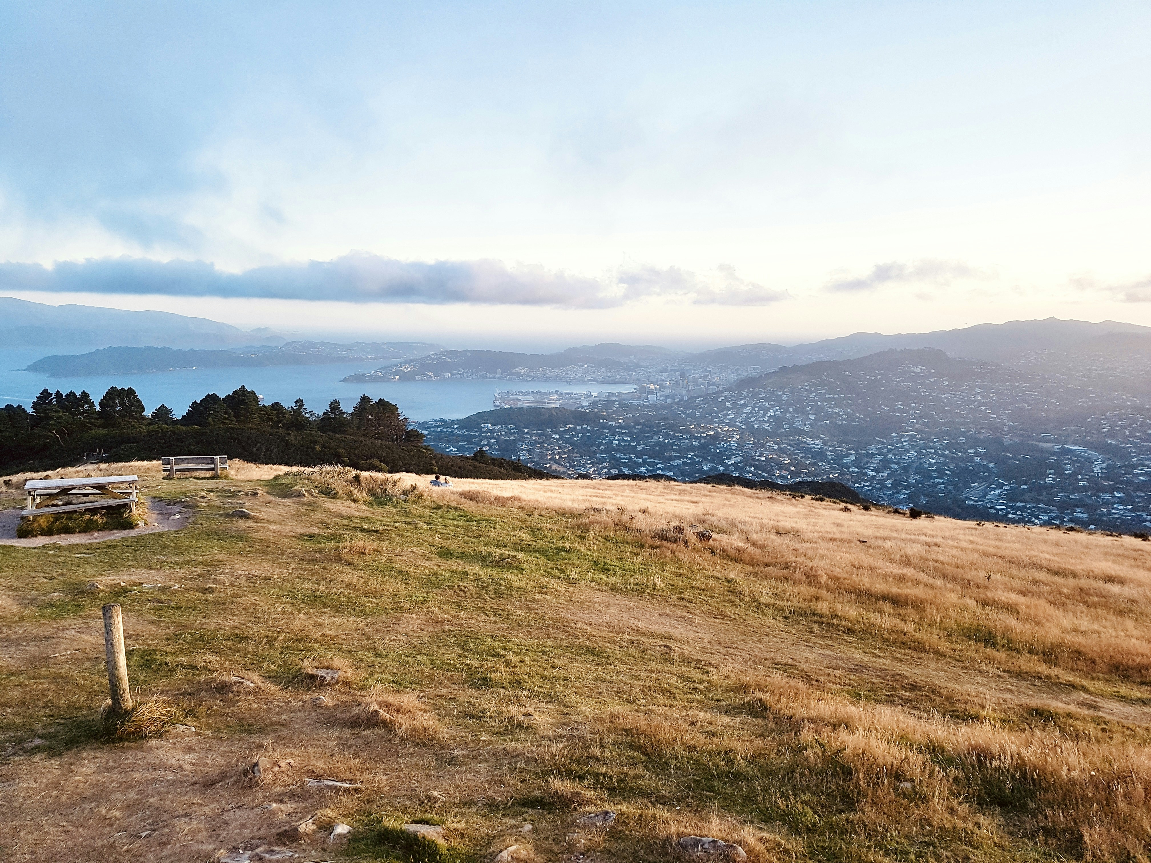 Hilltop overlook over a coastal city at dusk