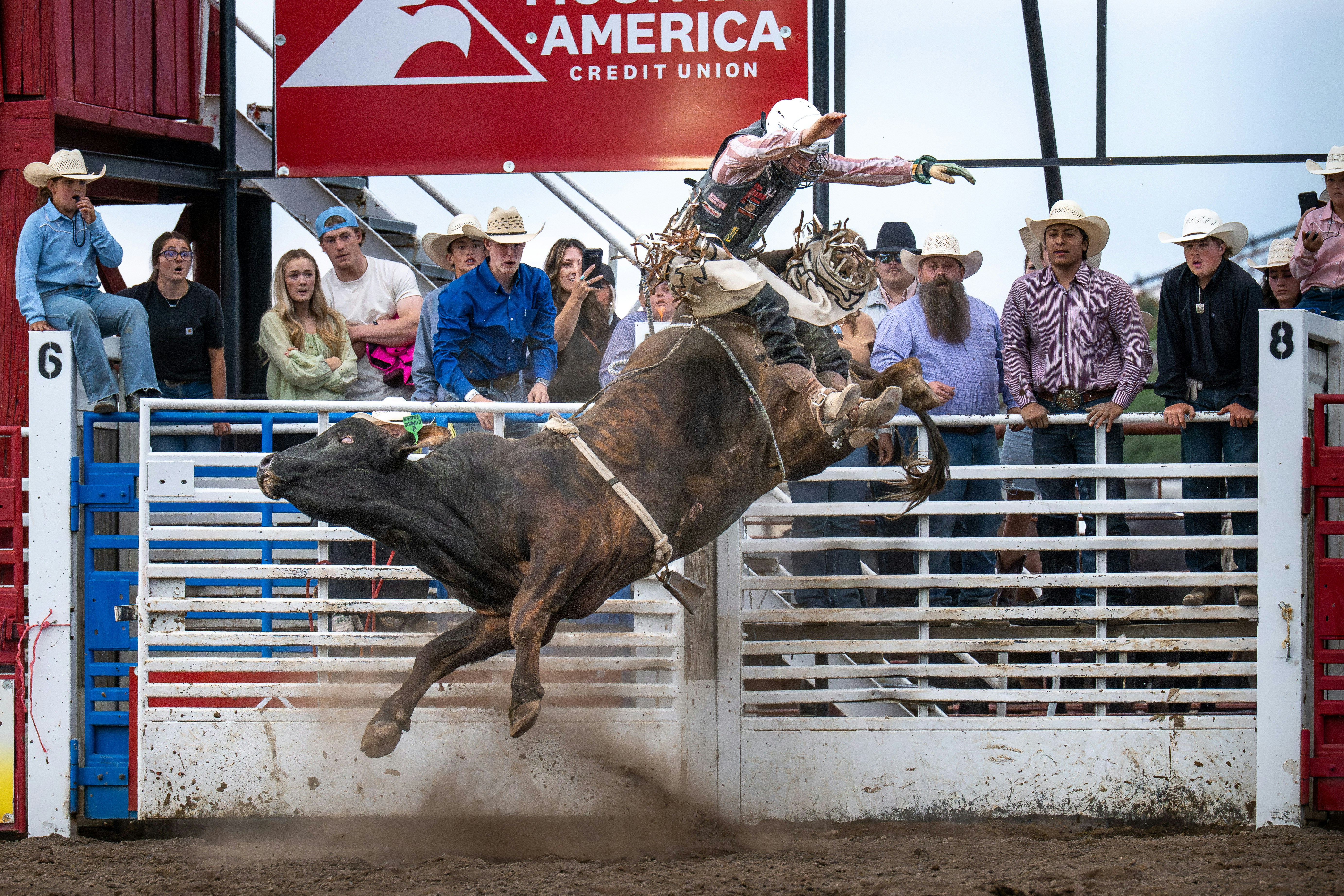 Rider Takes Flight: A Bullride Mid-Leap Over the Arena Wall