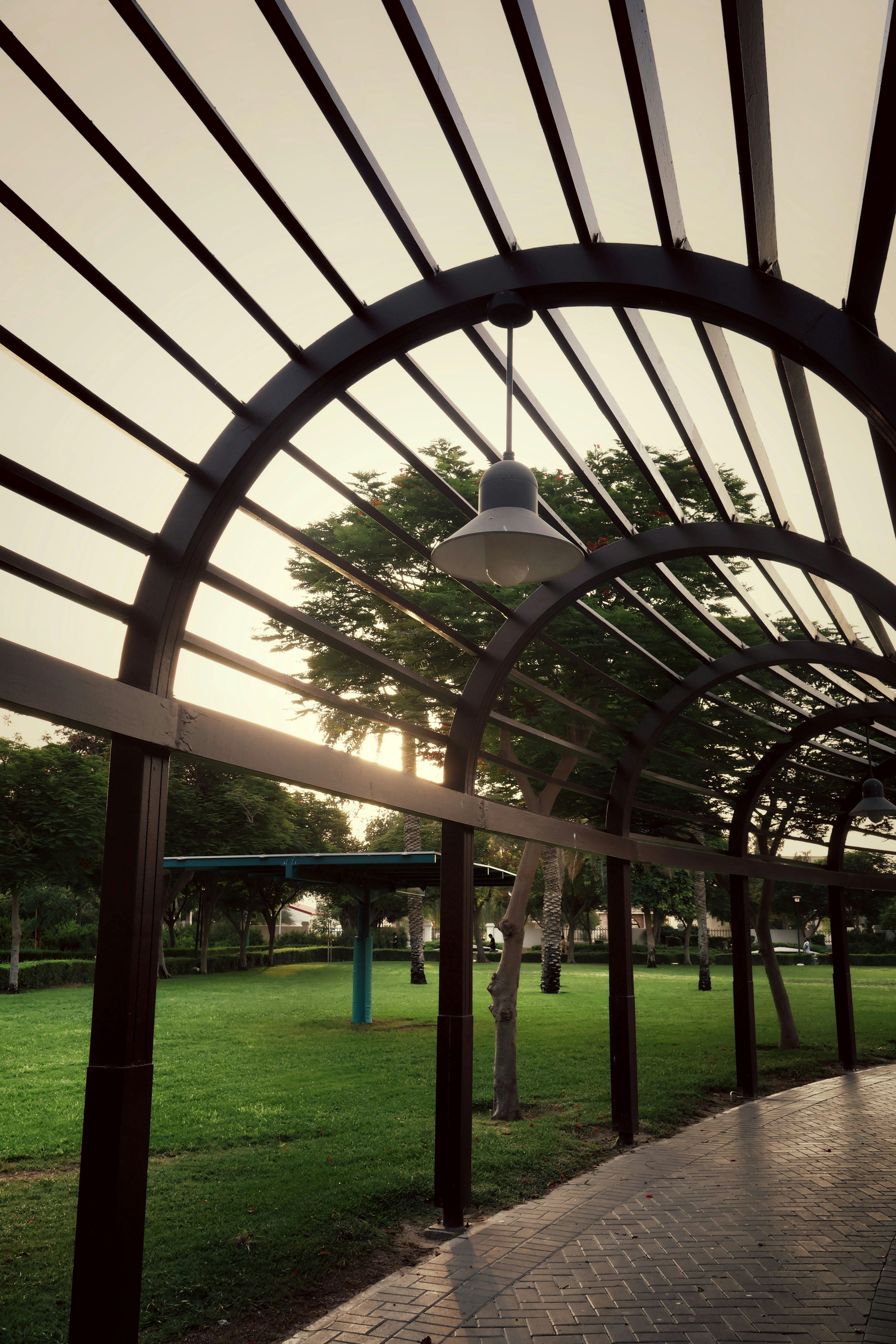 Arched Pergola in a Sunlit Park Corridor