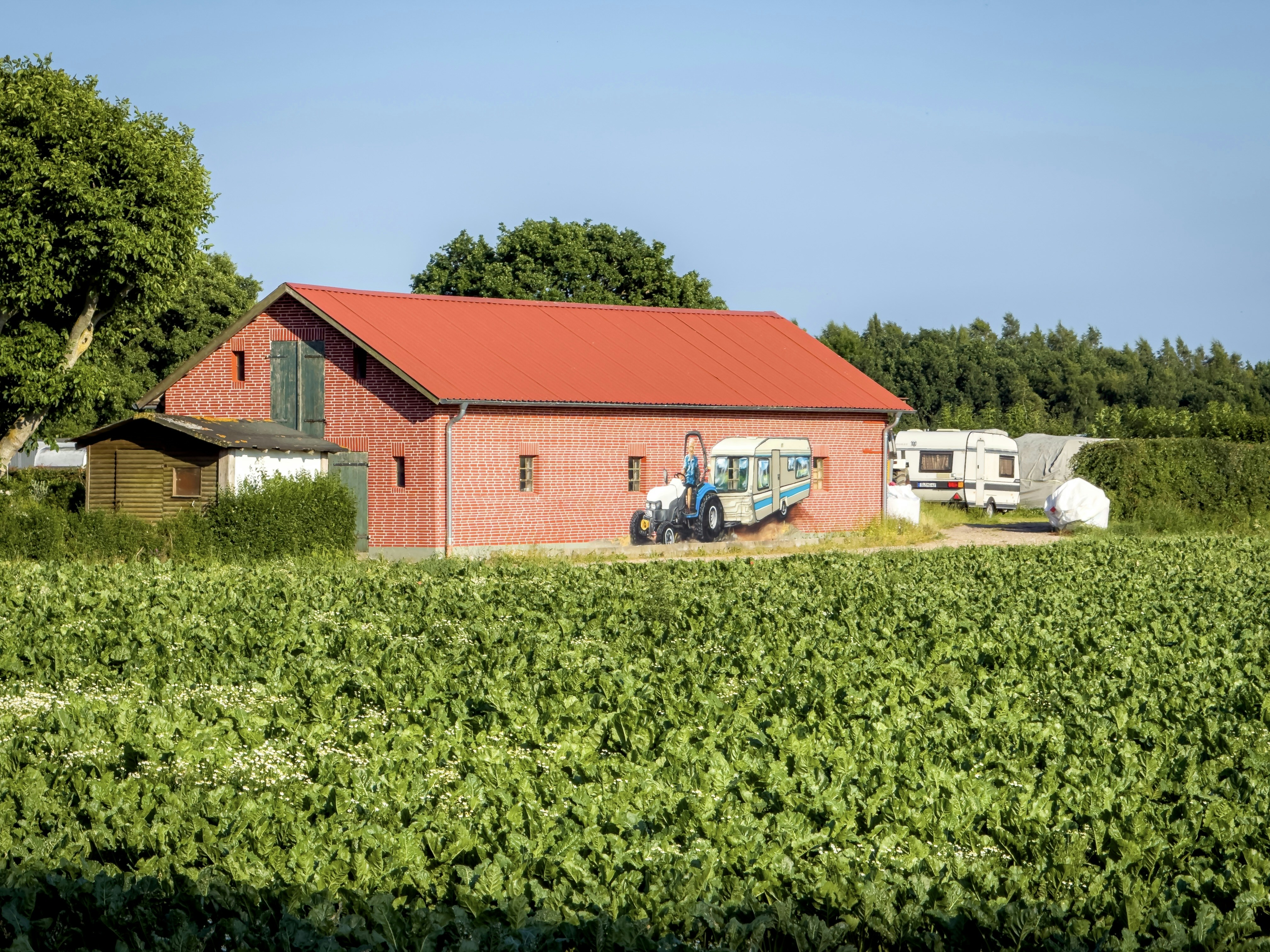 Red Barn on the Edge of a Verdant Field