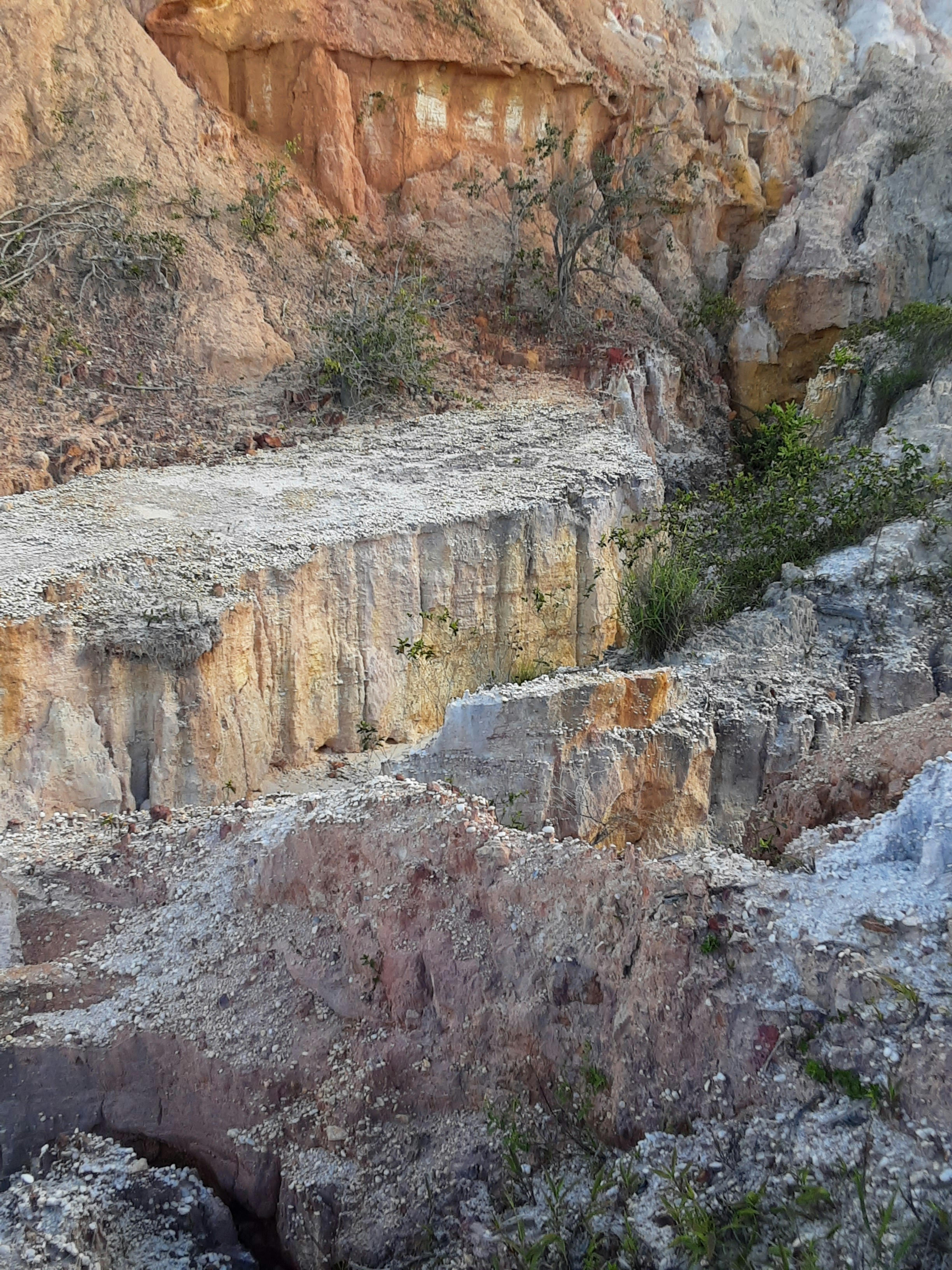Desert strata and weathered ledge reveal quiet erosion at the canyon edge