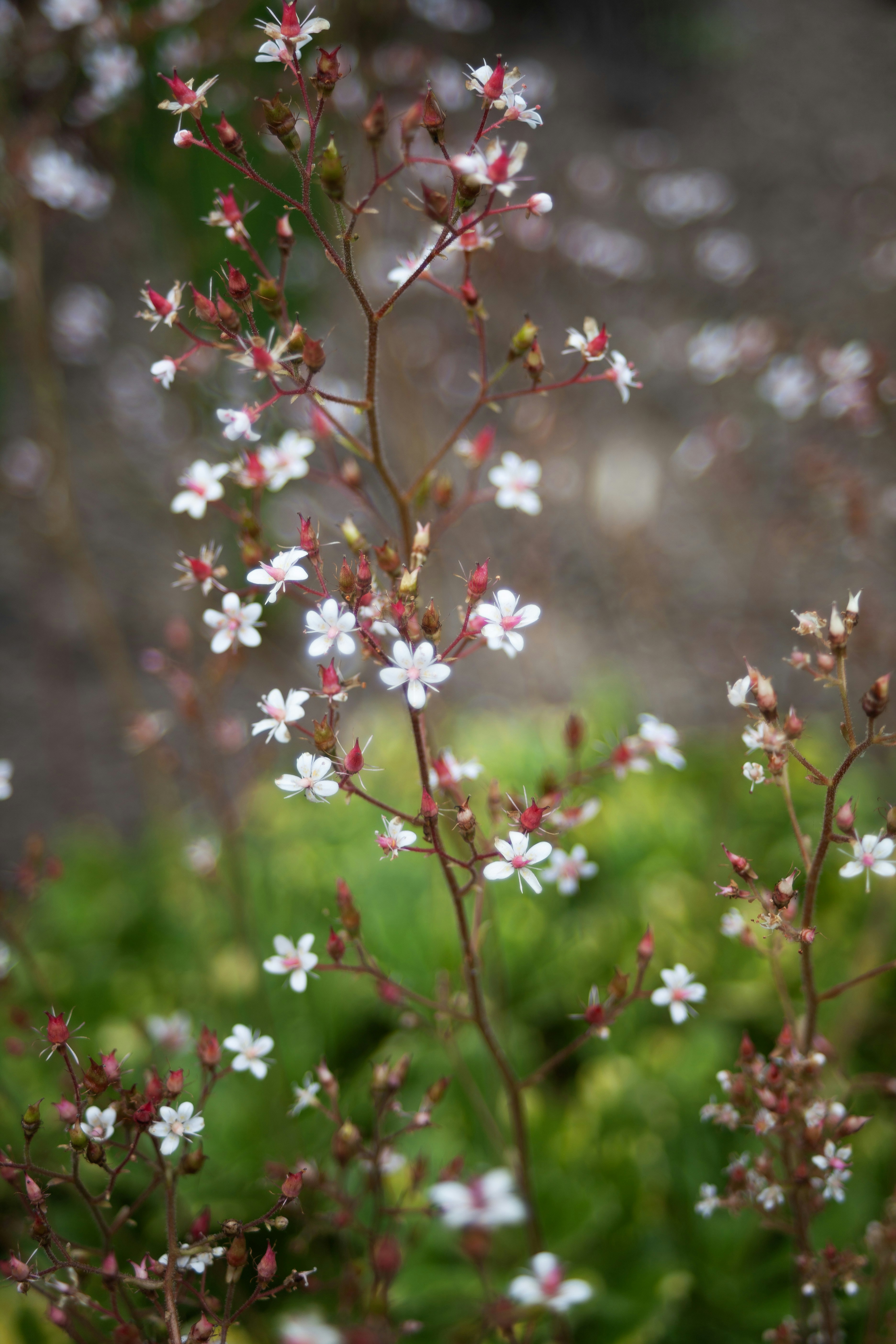Photo by Belov Sergey with Canon EOS 5D Mark II