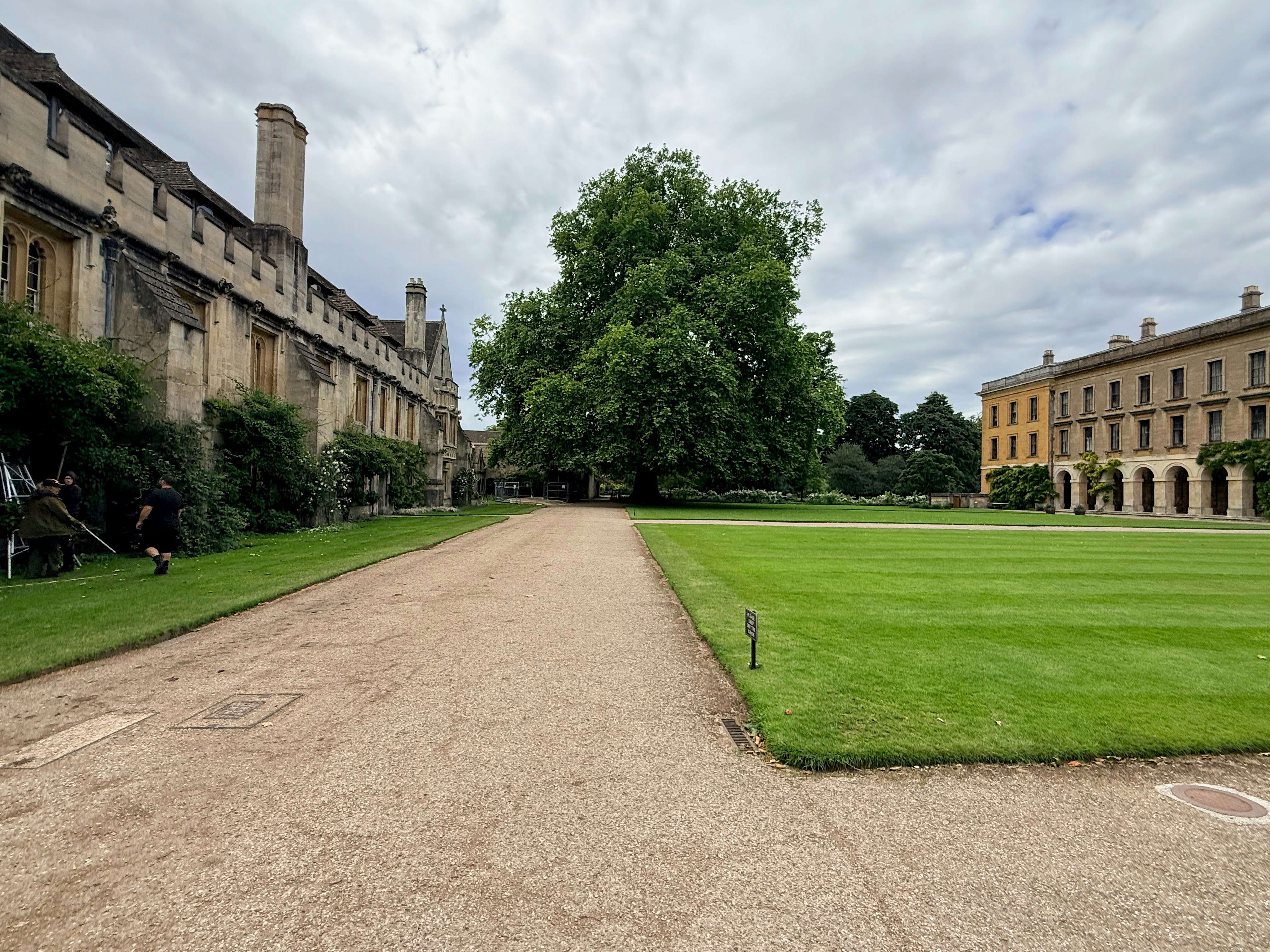 Gravel courtyard leads to a large central tree framed by historic buildings and manicured lawn. A tranquil campus-like scene emphasizing symmetry and open space.