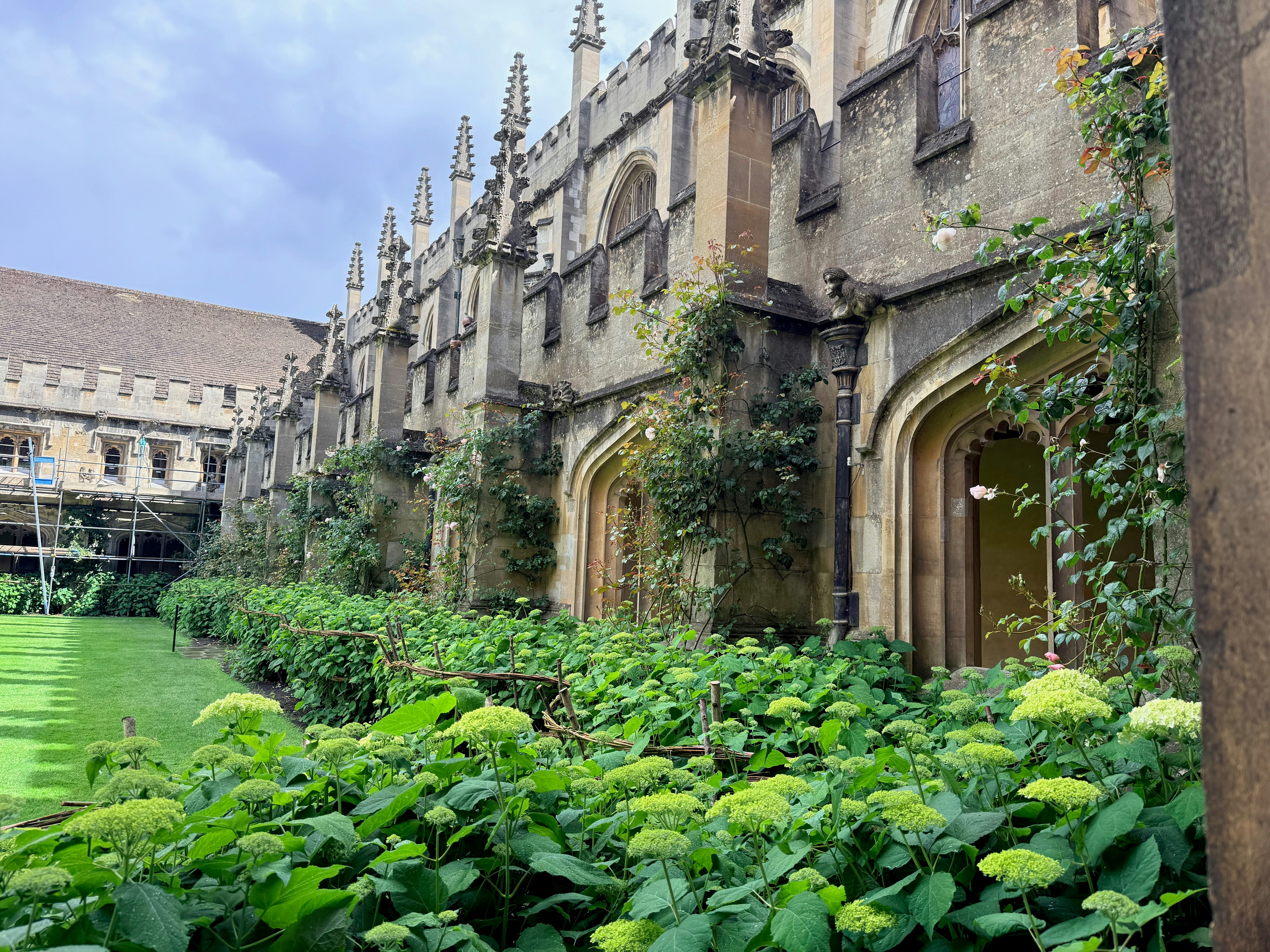 Stone Cloister Garden: Ivy, Arches, and Time-Worn Facades