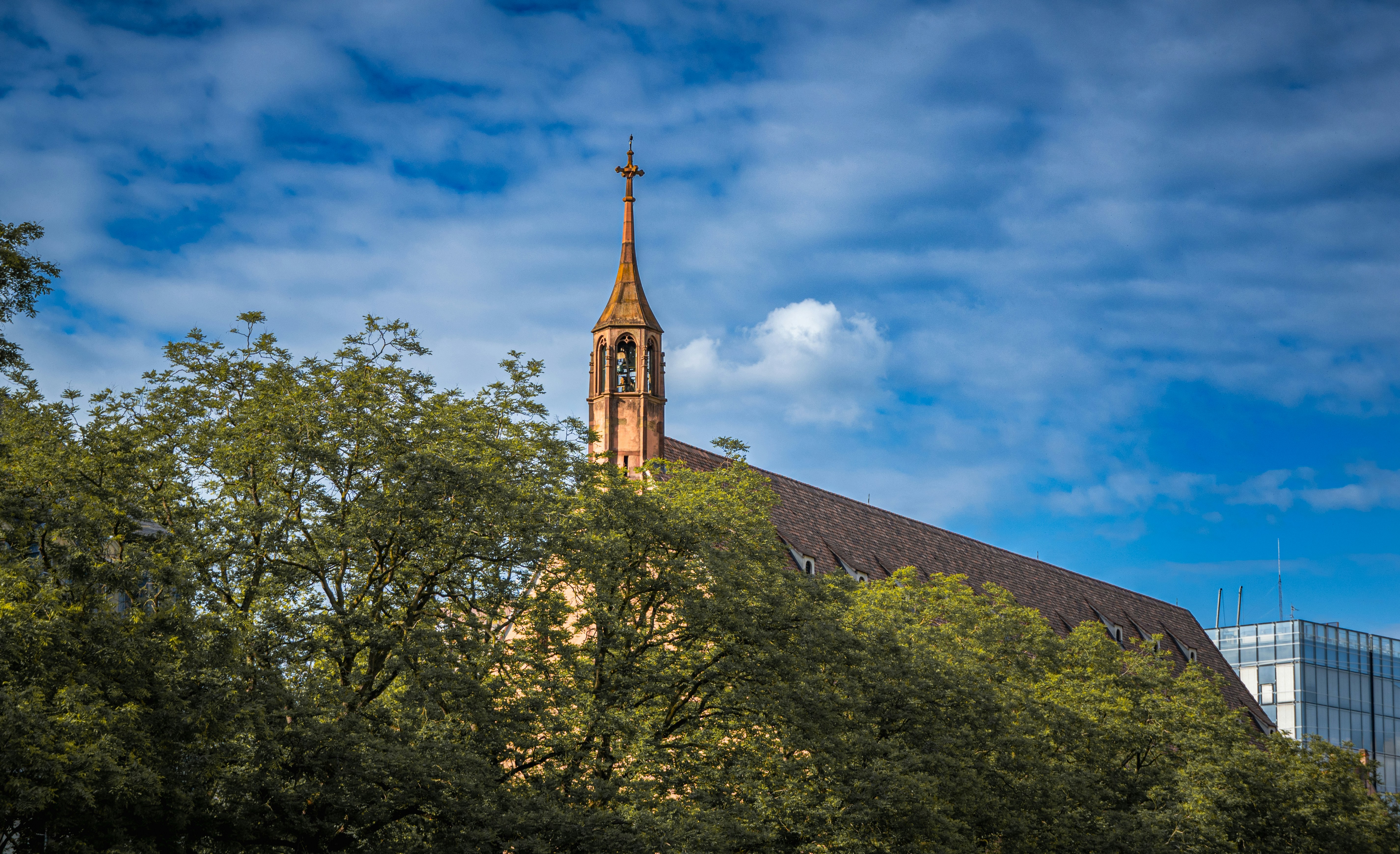 Tower Spire Above the Trees: City Skyline on a Bright Day