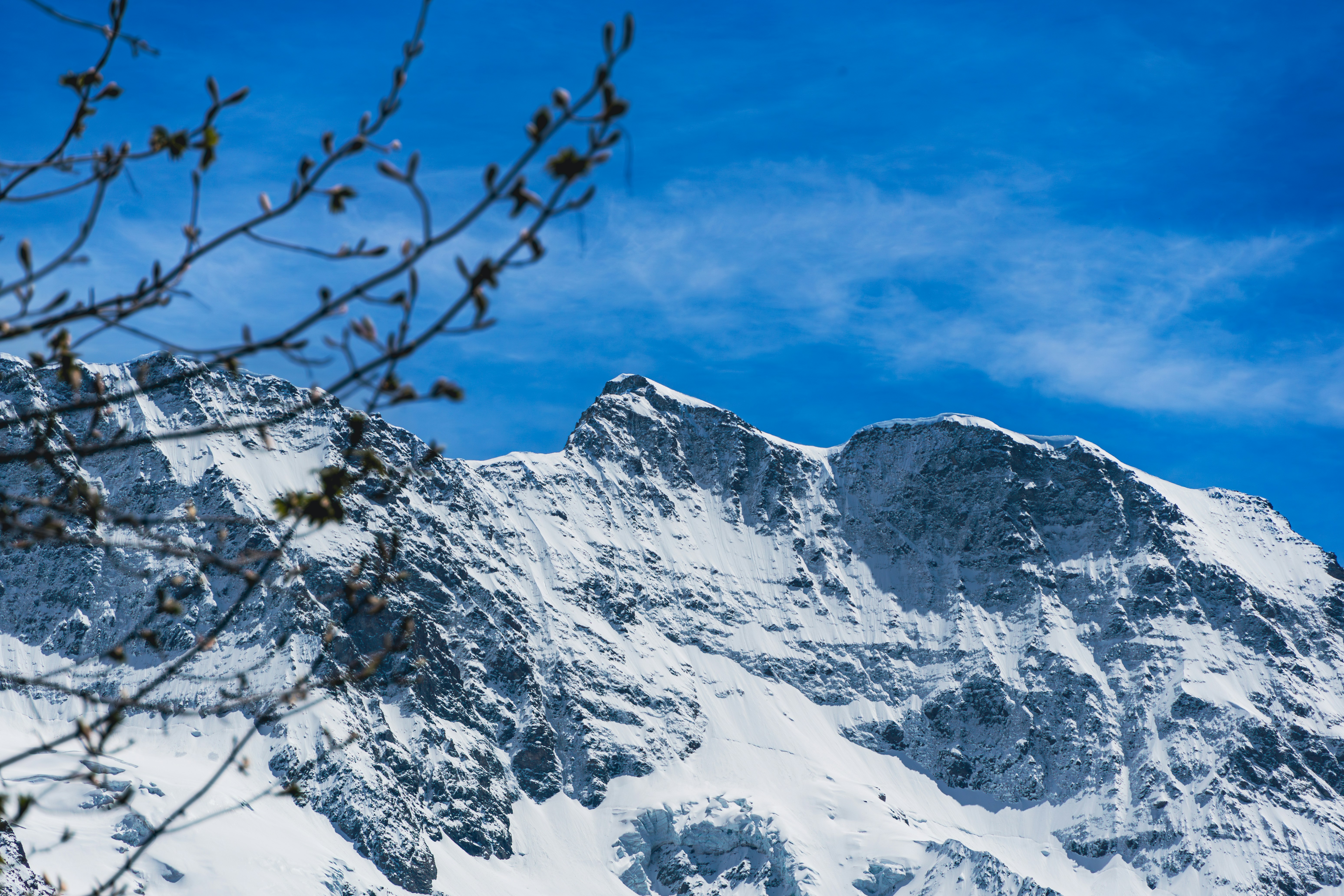 Snow Crest Under a Piercing Blue Sky