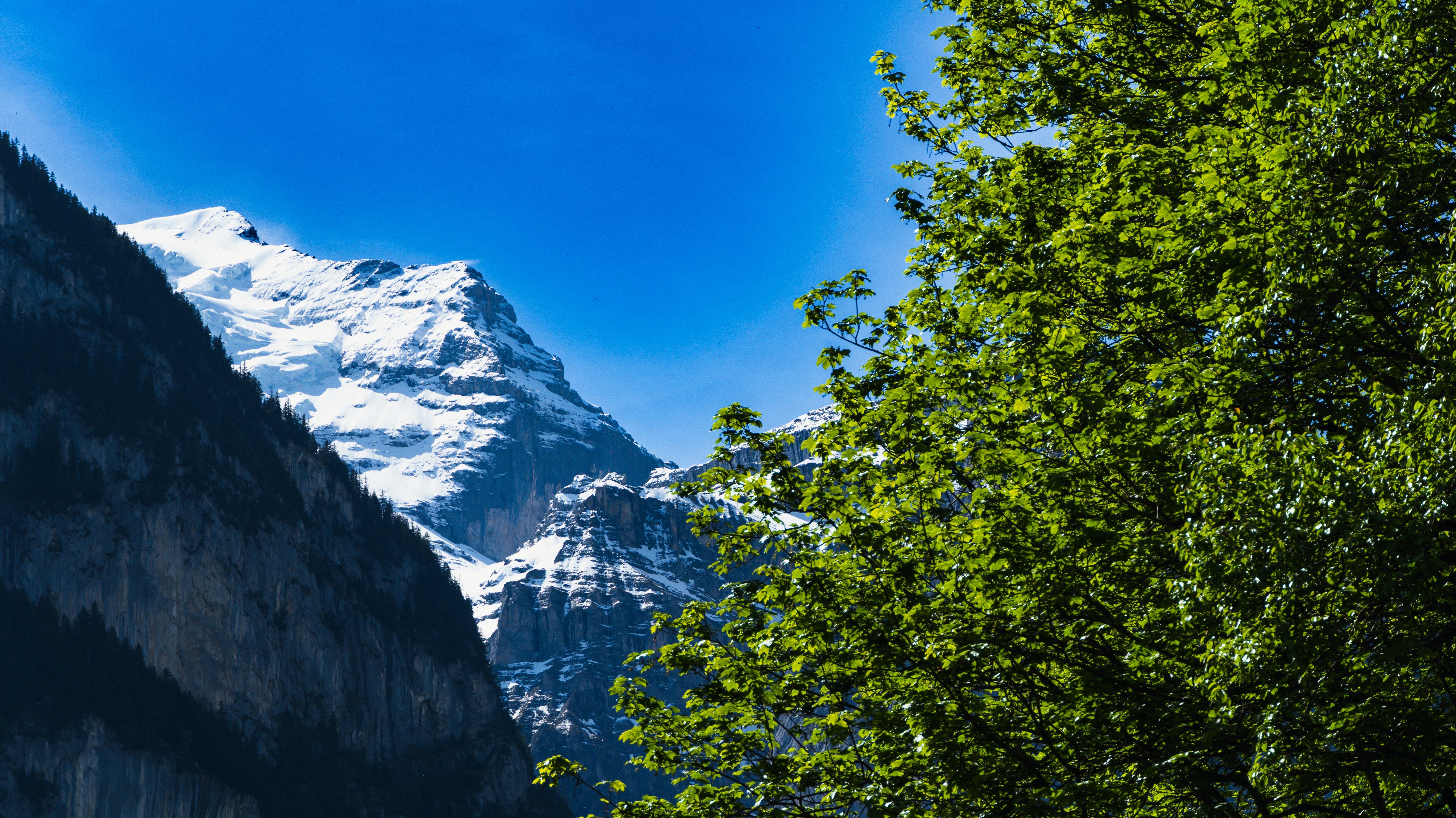 Snow-capped Peak Framed by Verdant Ridge