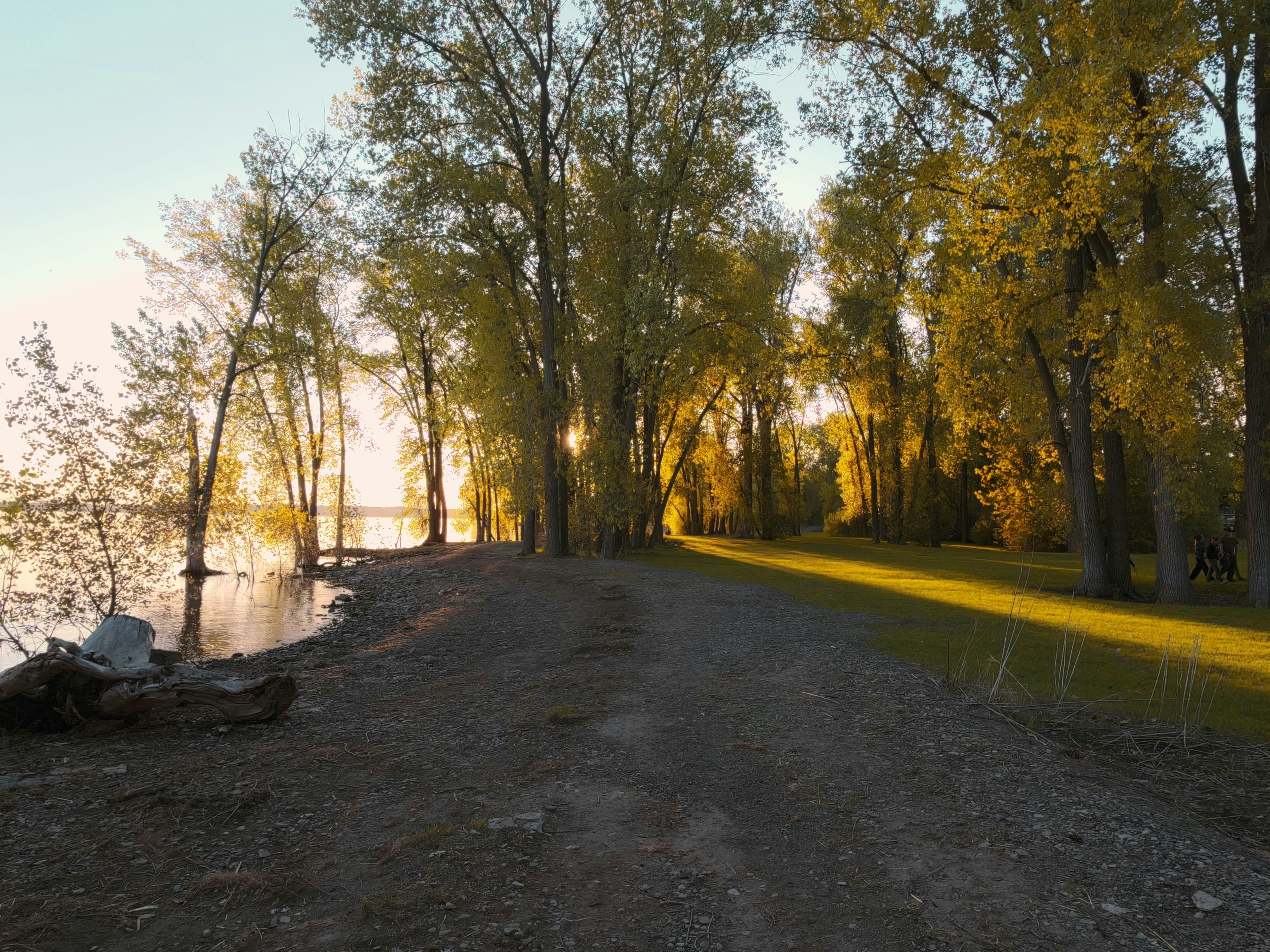Sunlit Riverside Path Through Autumn Trees